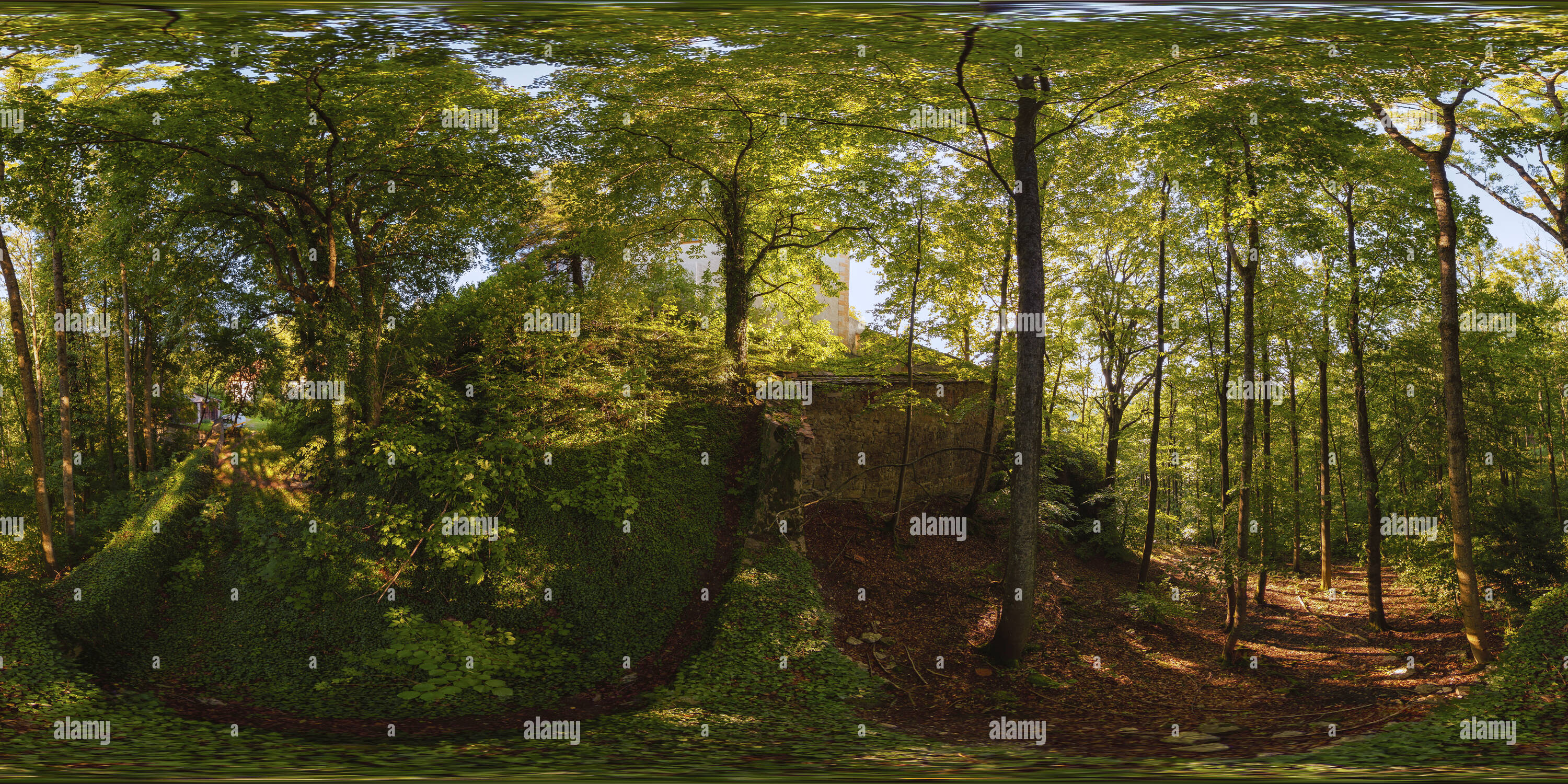 360° view of Schloss Greifenstein Waldweg - Alamy
