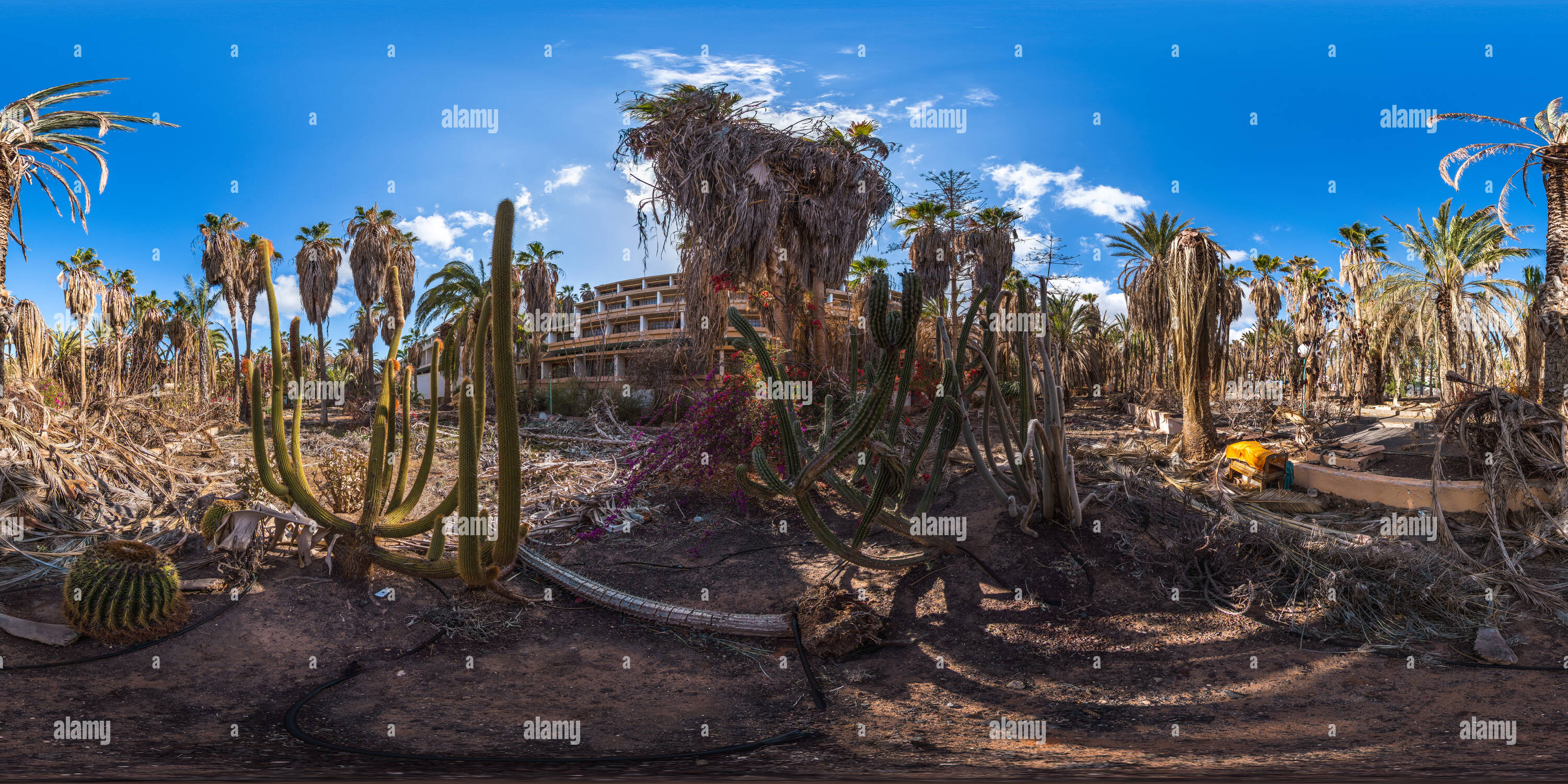 360° view of Lost Places, Hotel Stella Canaris, cactus, Morro Jable - Alamy