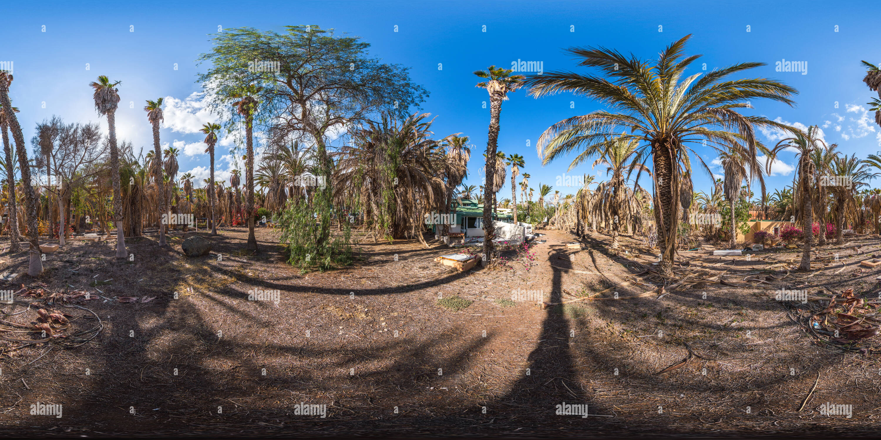 360° view of Lost Places, Hotel Stella Canaris, Palm trees, Morro Jable ...