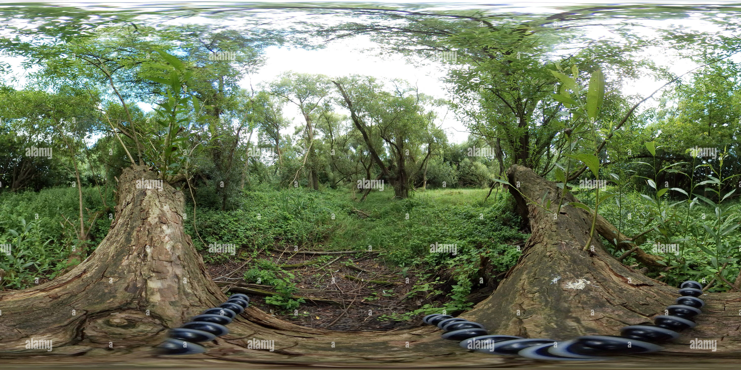 360° view of Venning Park Kortrijk - Alamy