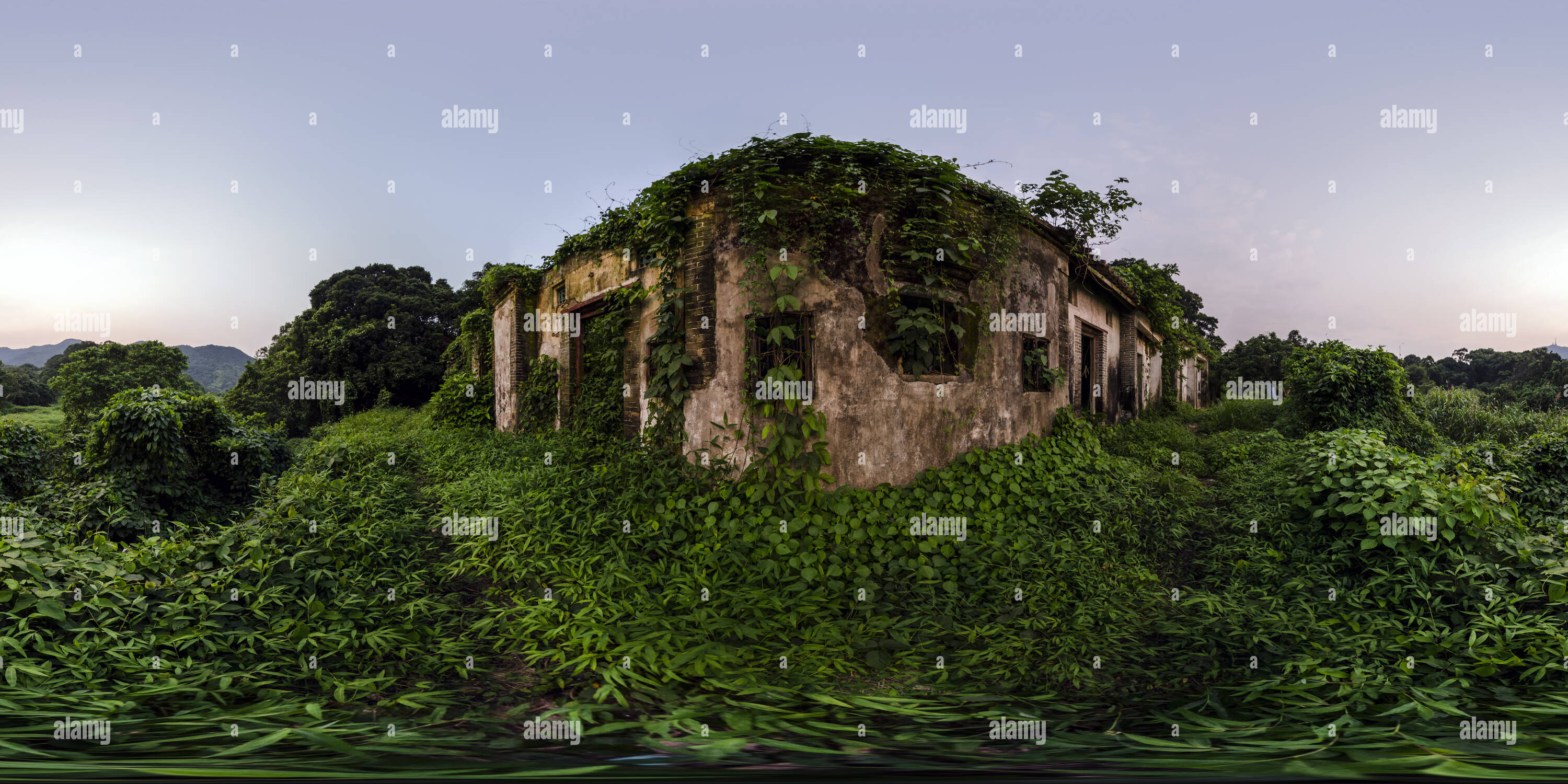 360° view of Abandoned Village(沙螺洞荒廢村屋), Sha Lo Tung, Tai Po, HK - Alamy