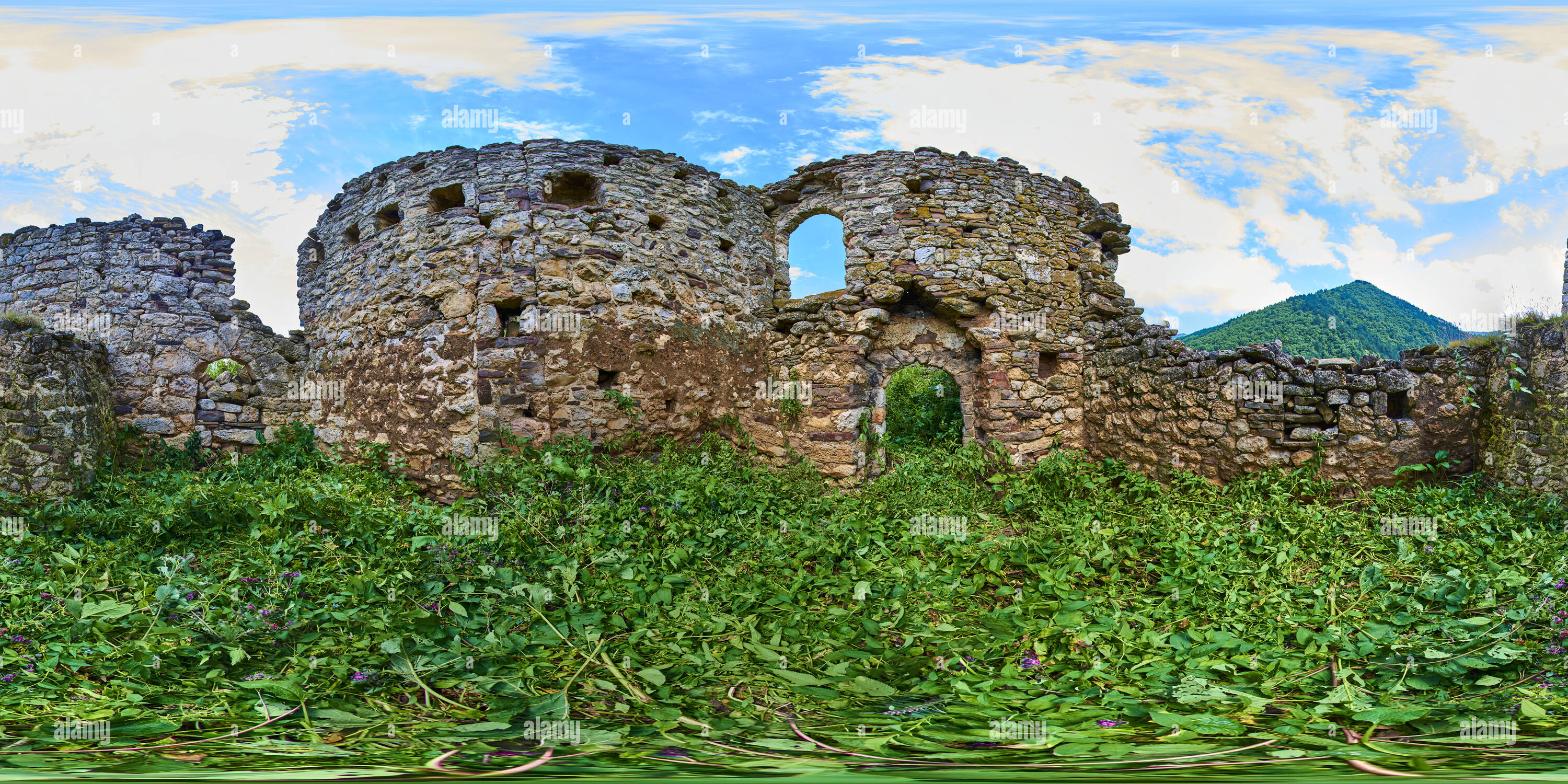 Gu7 hi-res stock photography and images - Alamy