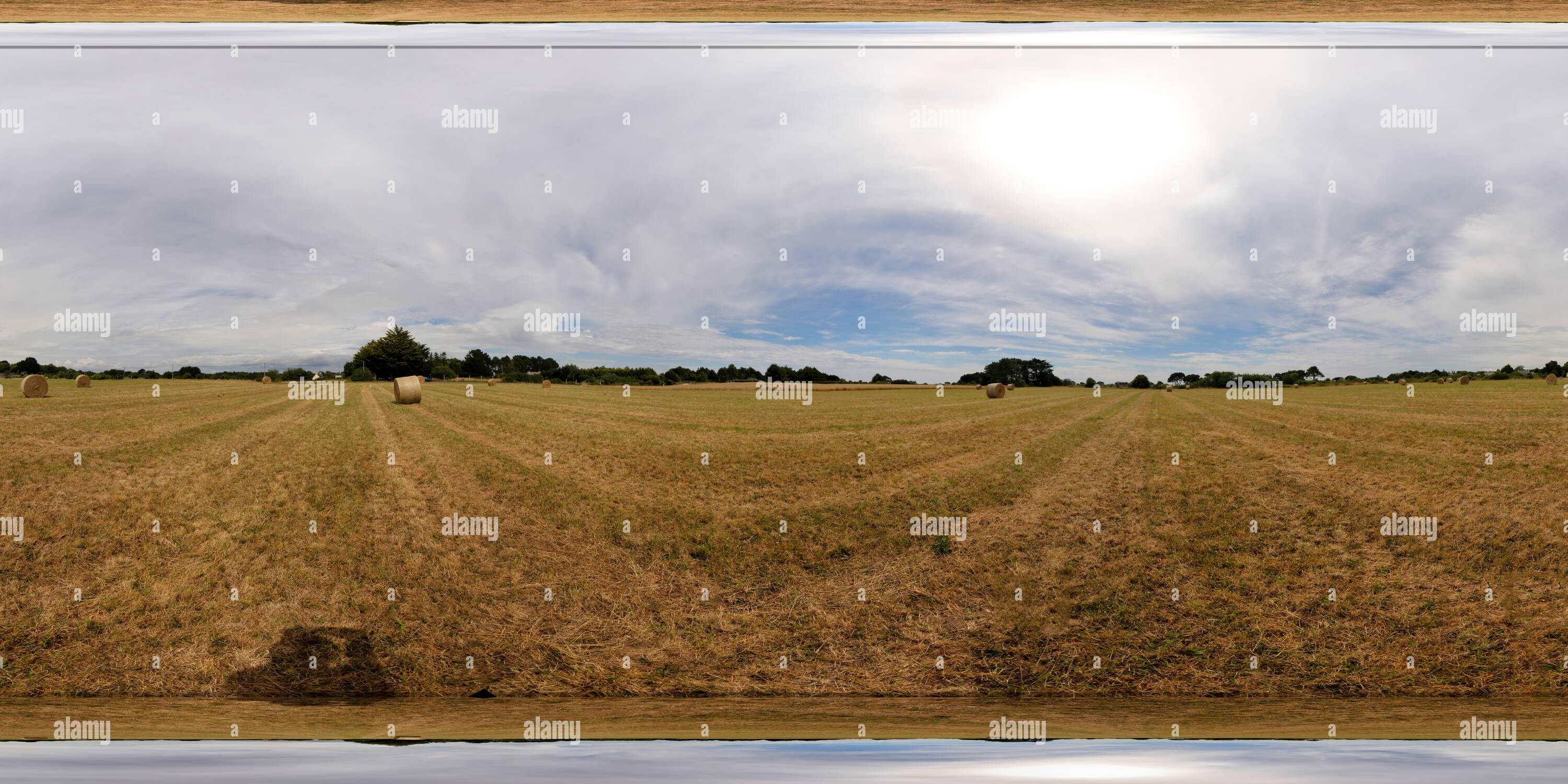 360° view of Corn Field - Kerliou - Alamy