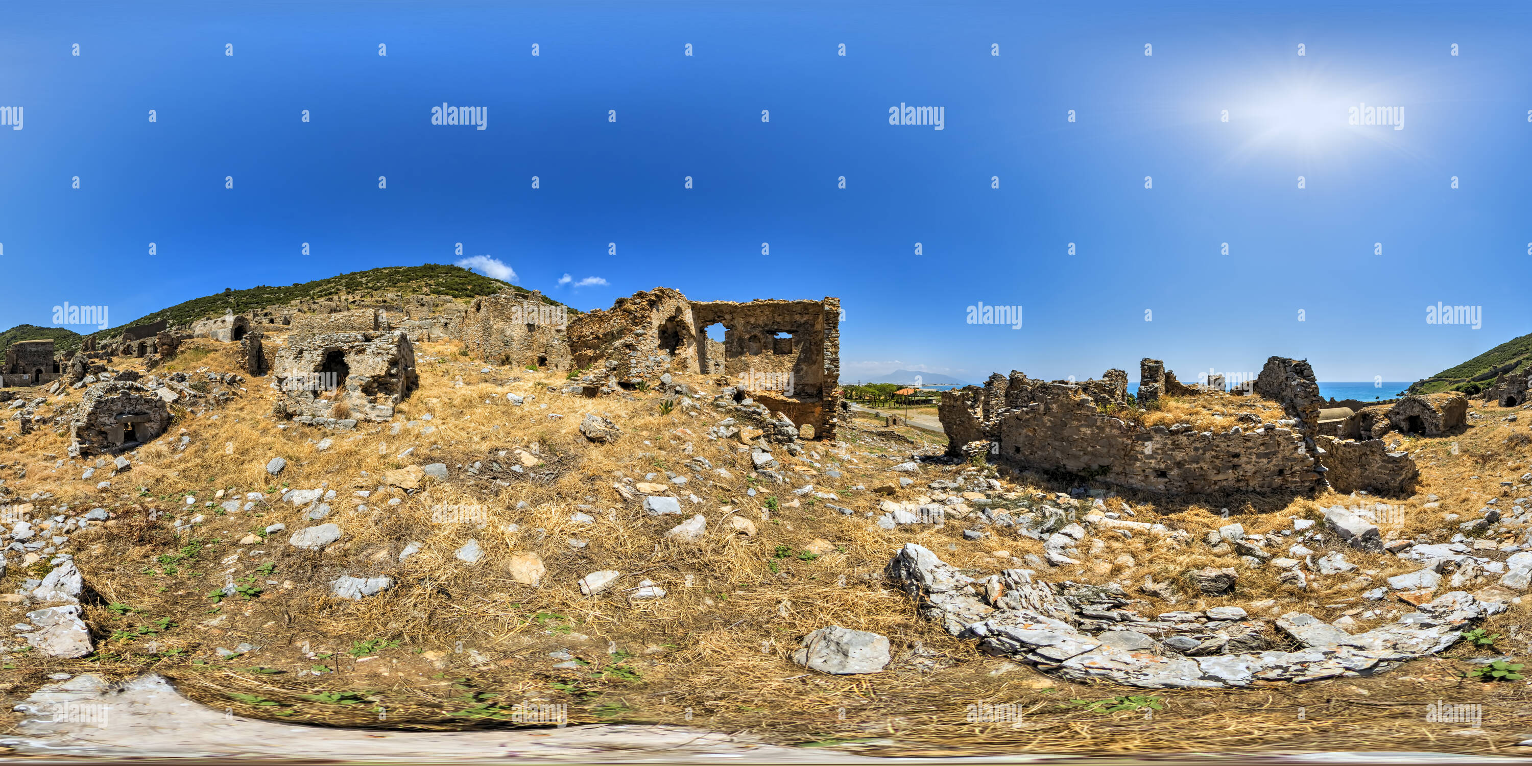 Anemurium hi-res stock photography and images - Alamy