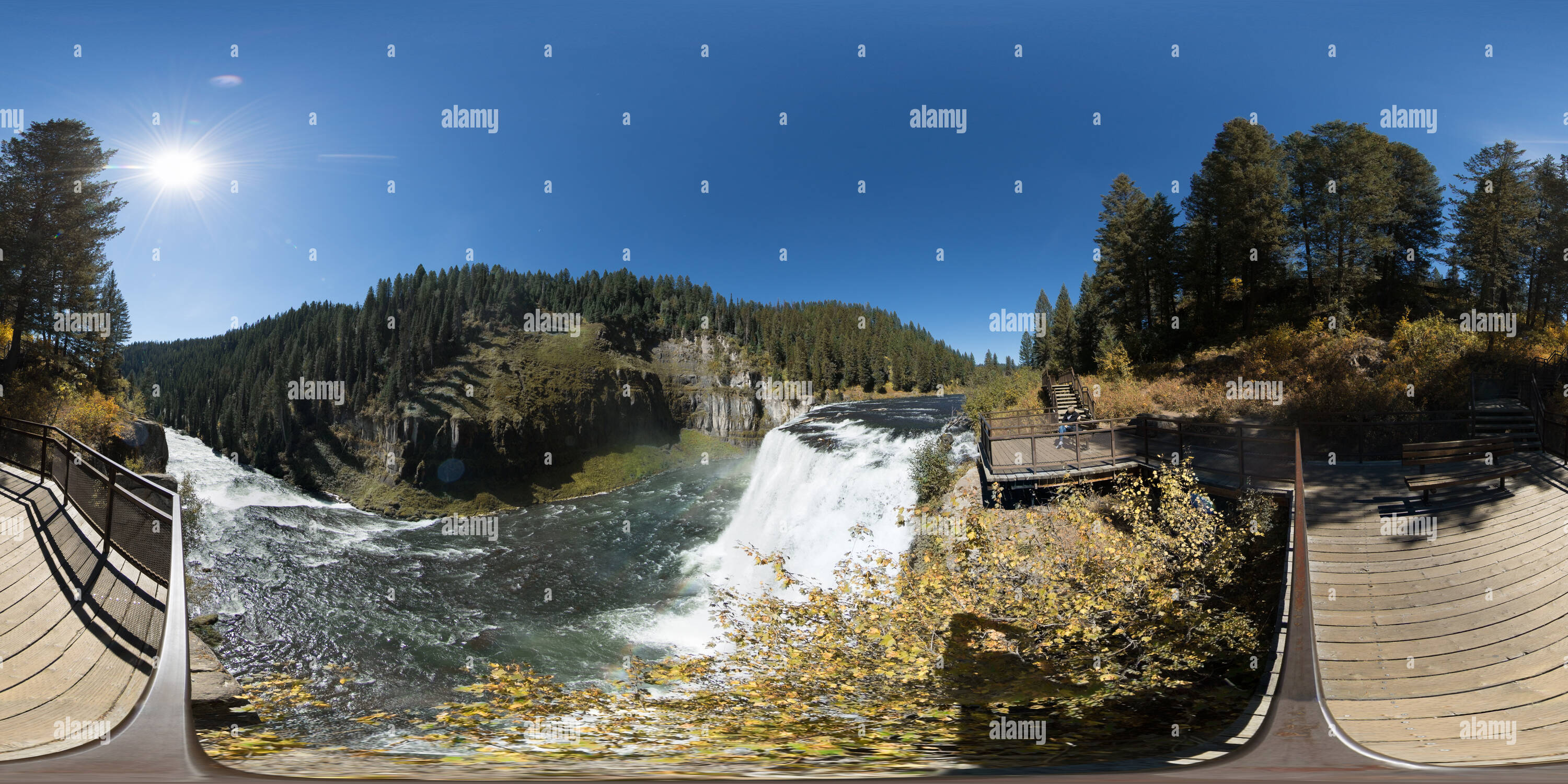 Wet and wilde hi-res stock photography and images - Alamy