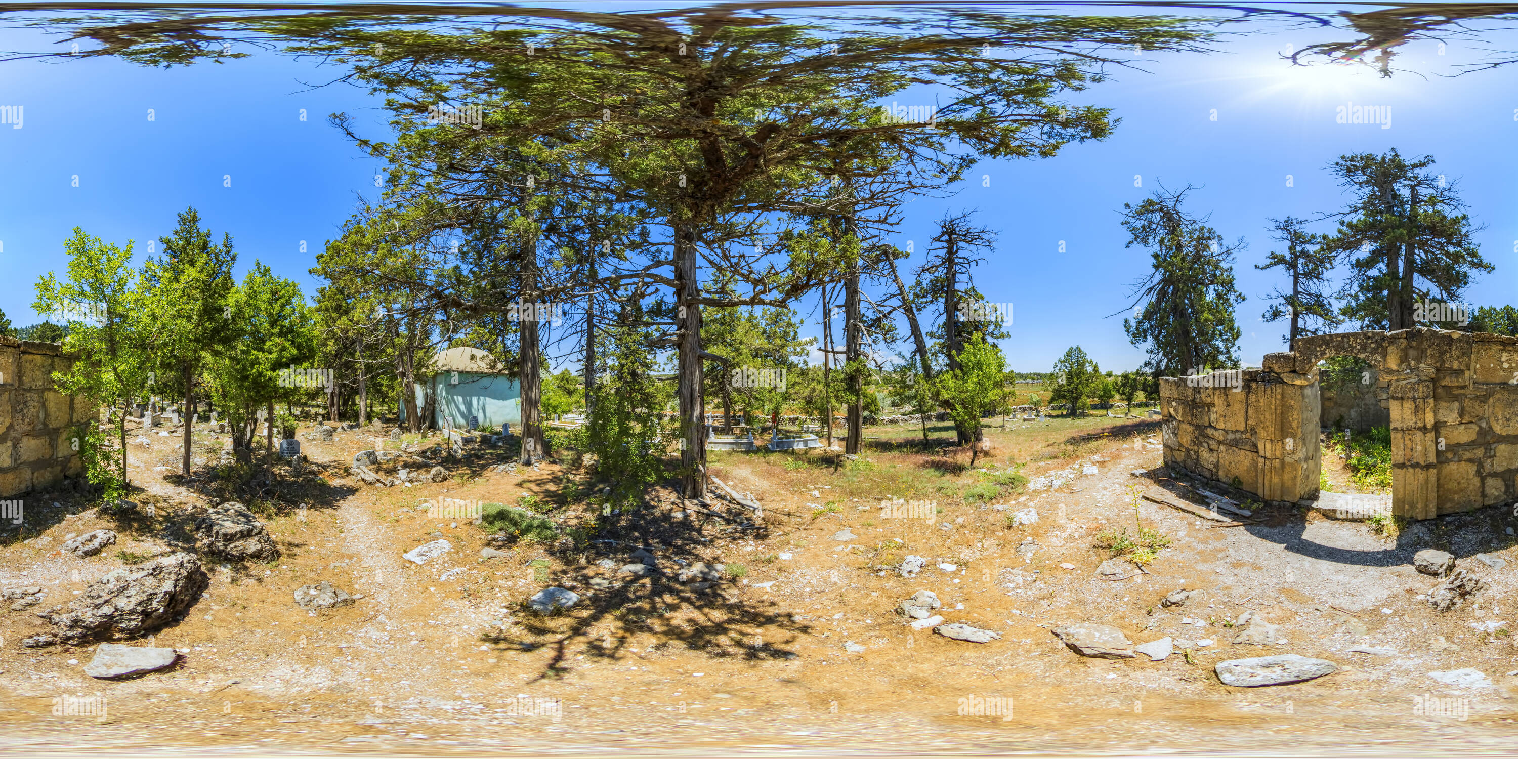 Gulnar hi-res stock photography and images - Alamy