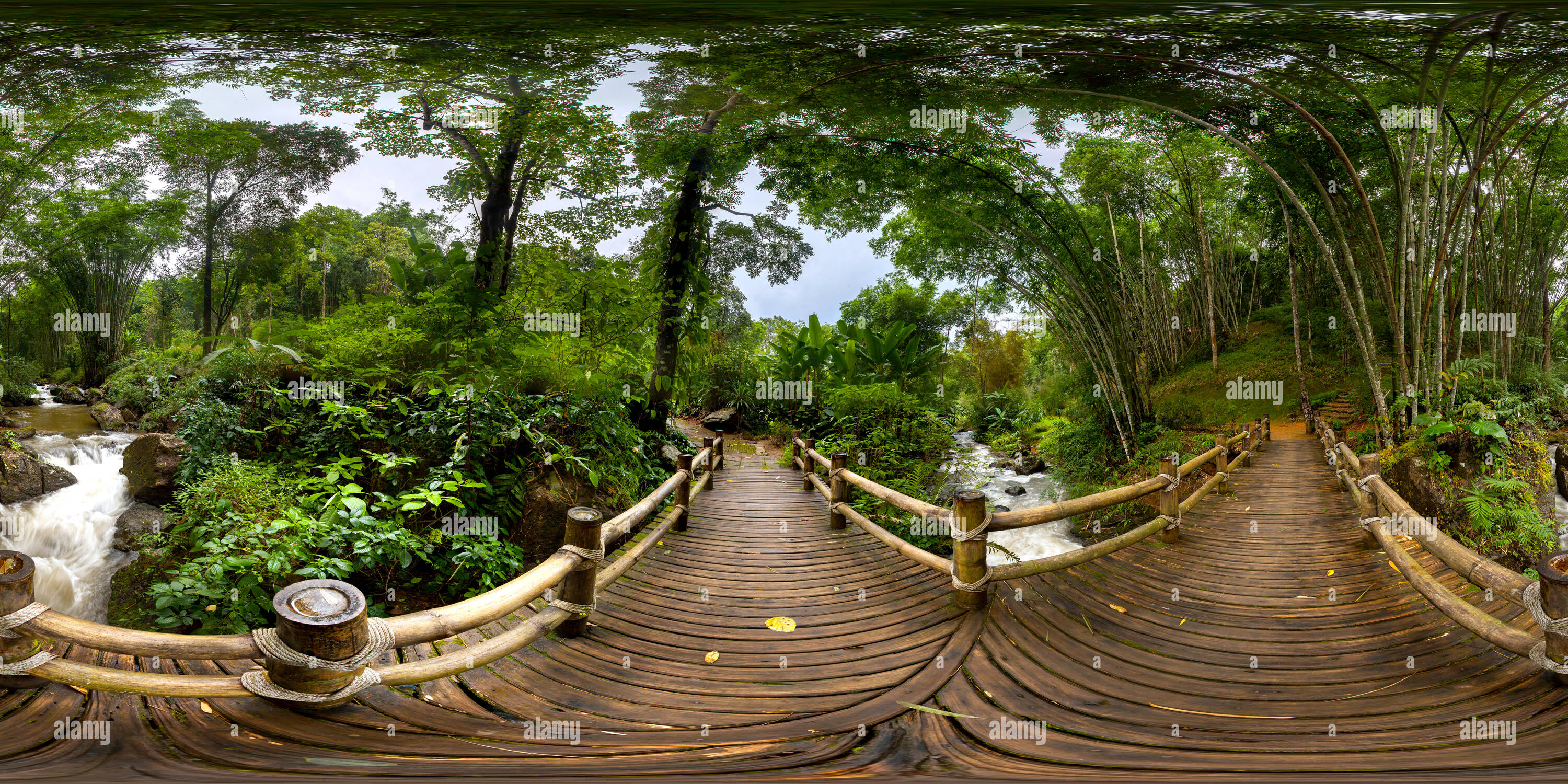 360° view of The Bamboo Complex, northern Thailand - Alamy