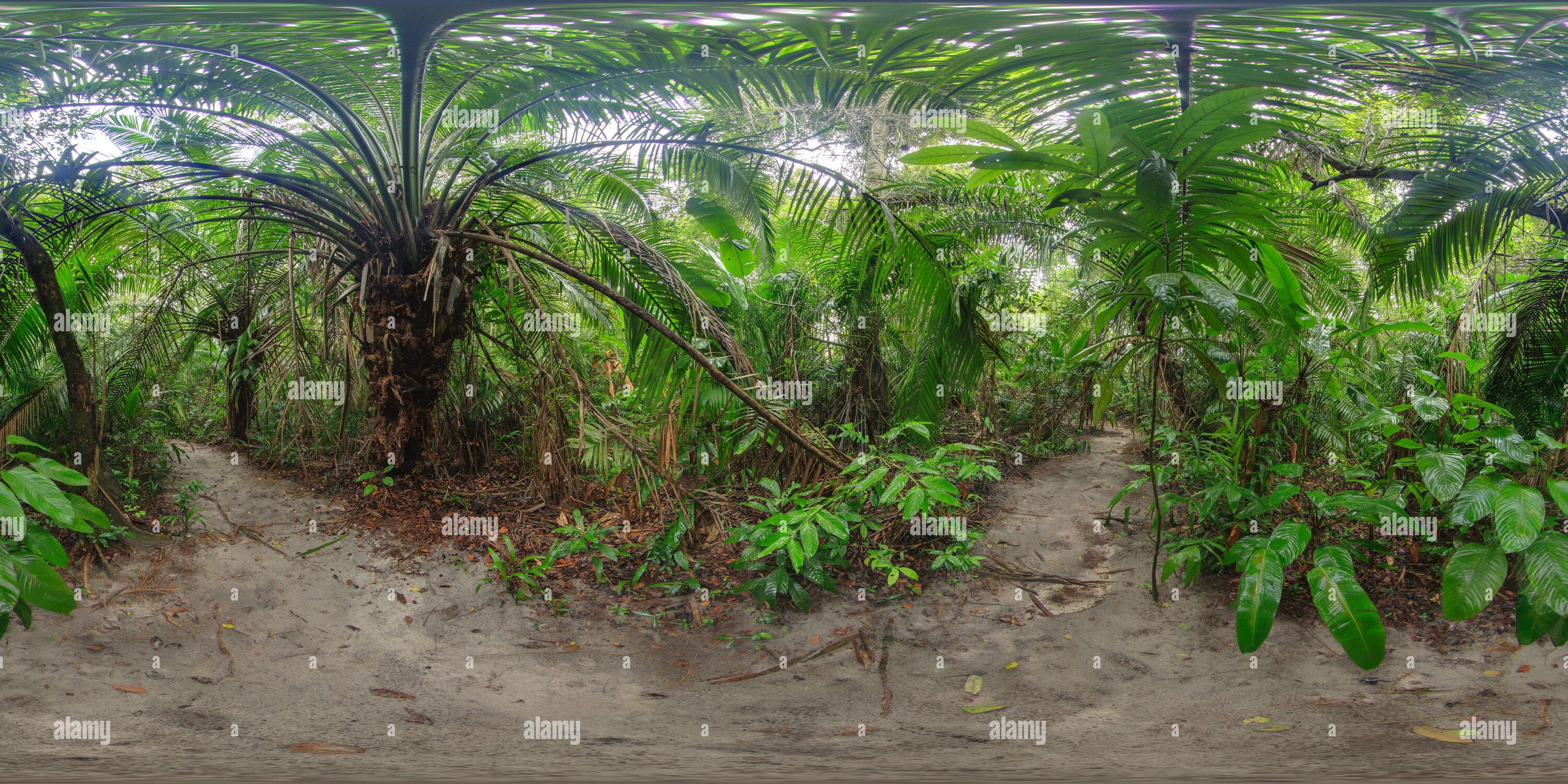 Lelydorp hi-res stock photography and images - Alamy