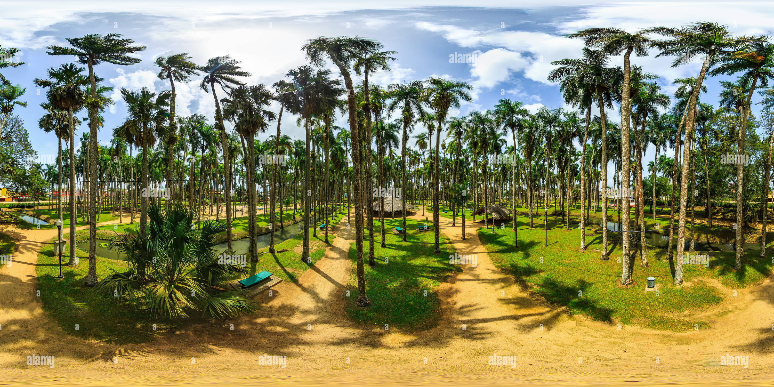 Palmentuin paramaribo hi-res stock photography and images - Alamy