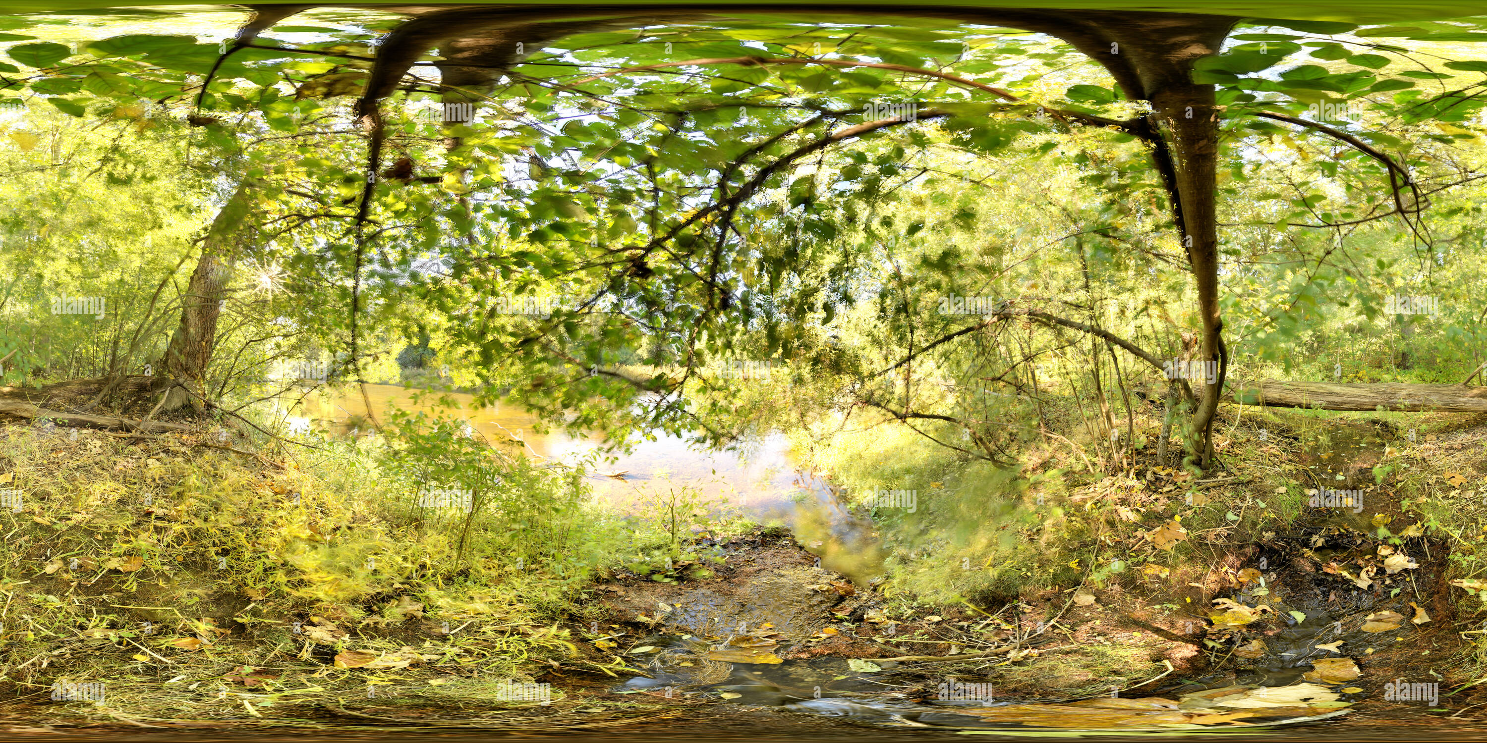 360° view of Tarbell Spring Feeds The Assabet River - Alamy