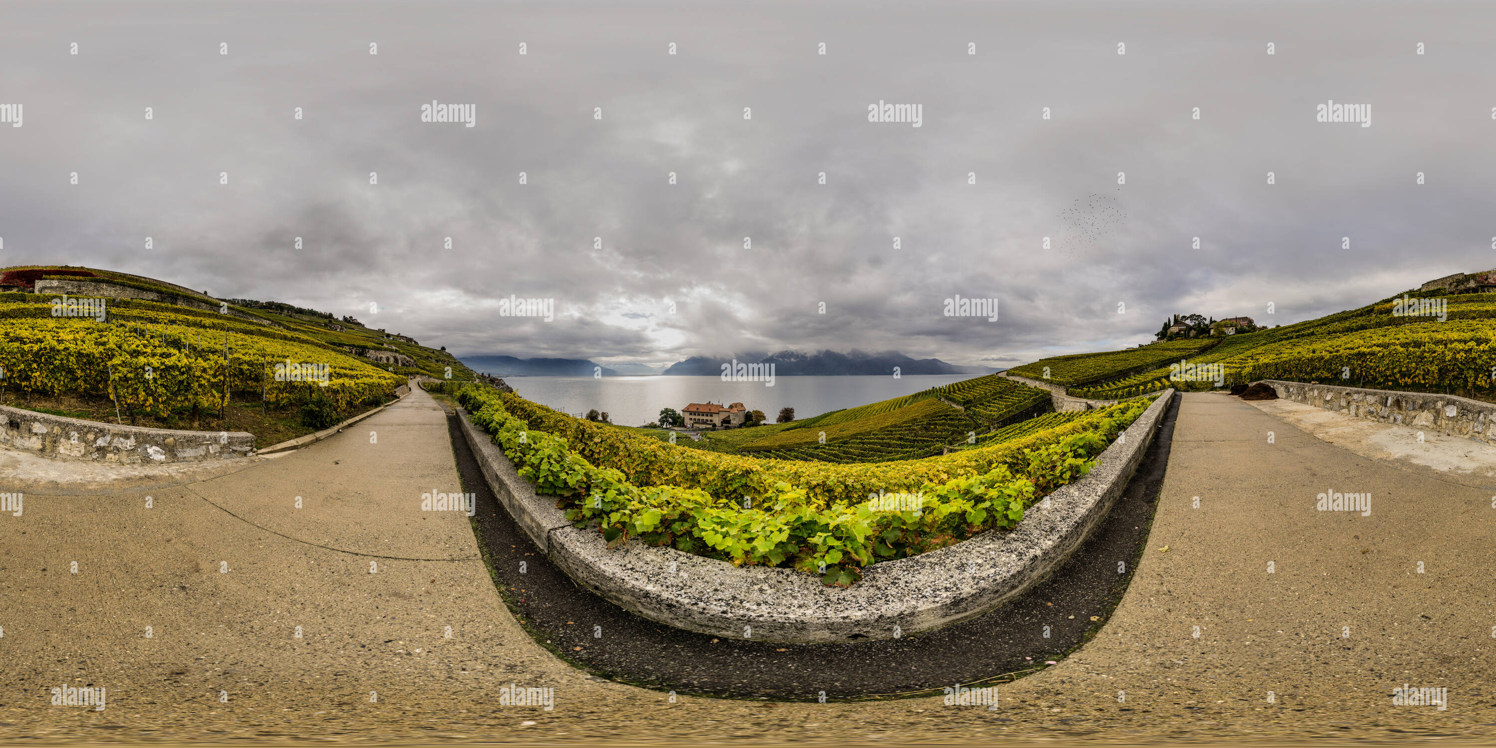 360° view of Lavaux Unesco World Heritage Site 2 - Alamy