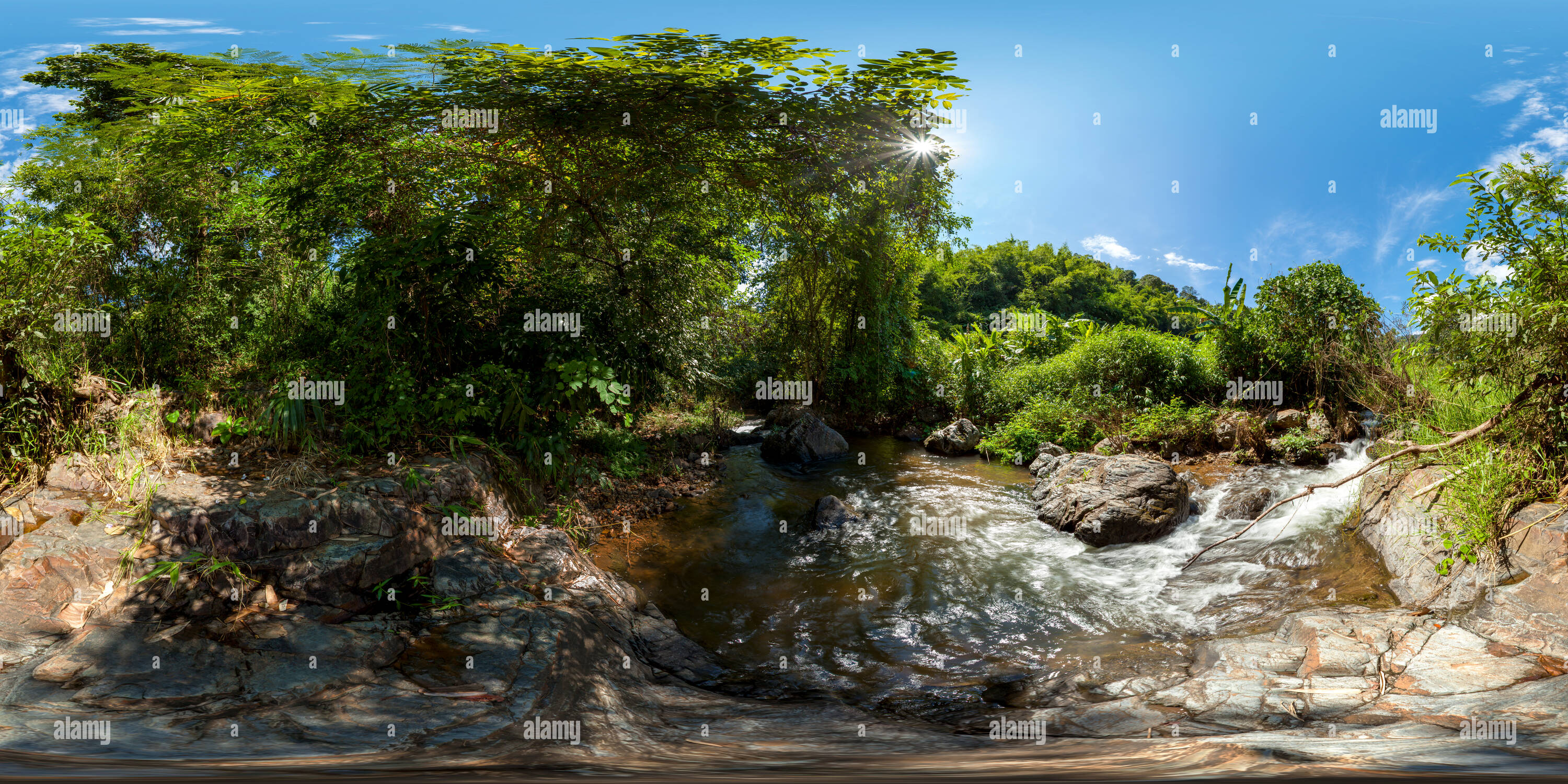360° view of A small creek in the rainforest - Alamy