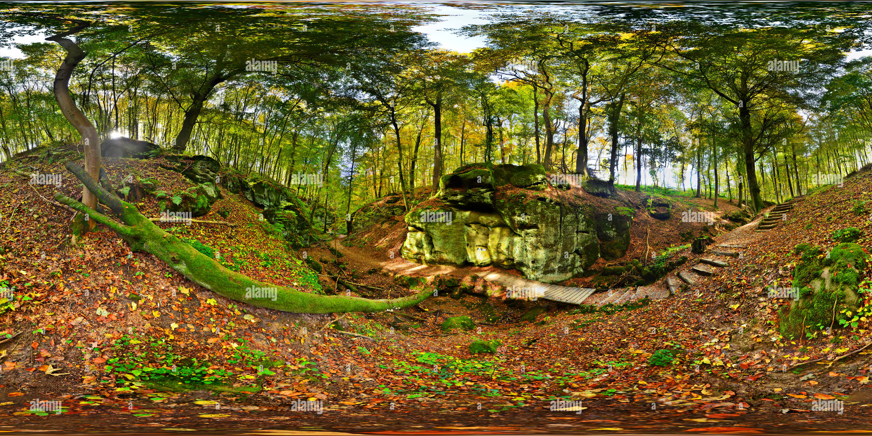 360° view of Autumn Forest in the Ardennes, Mullerthal Luxembourg - Alamy