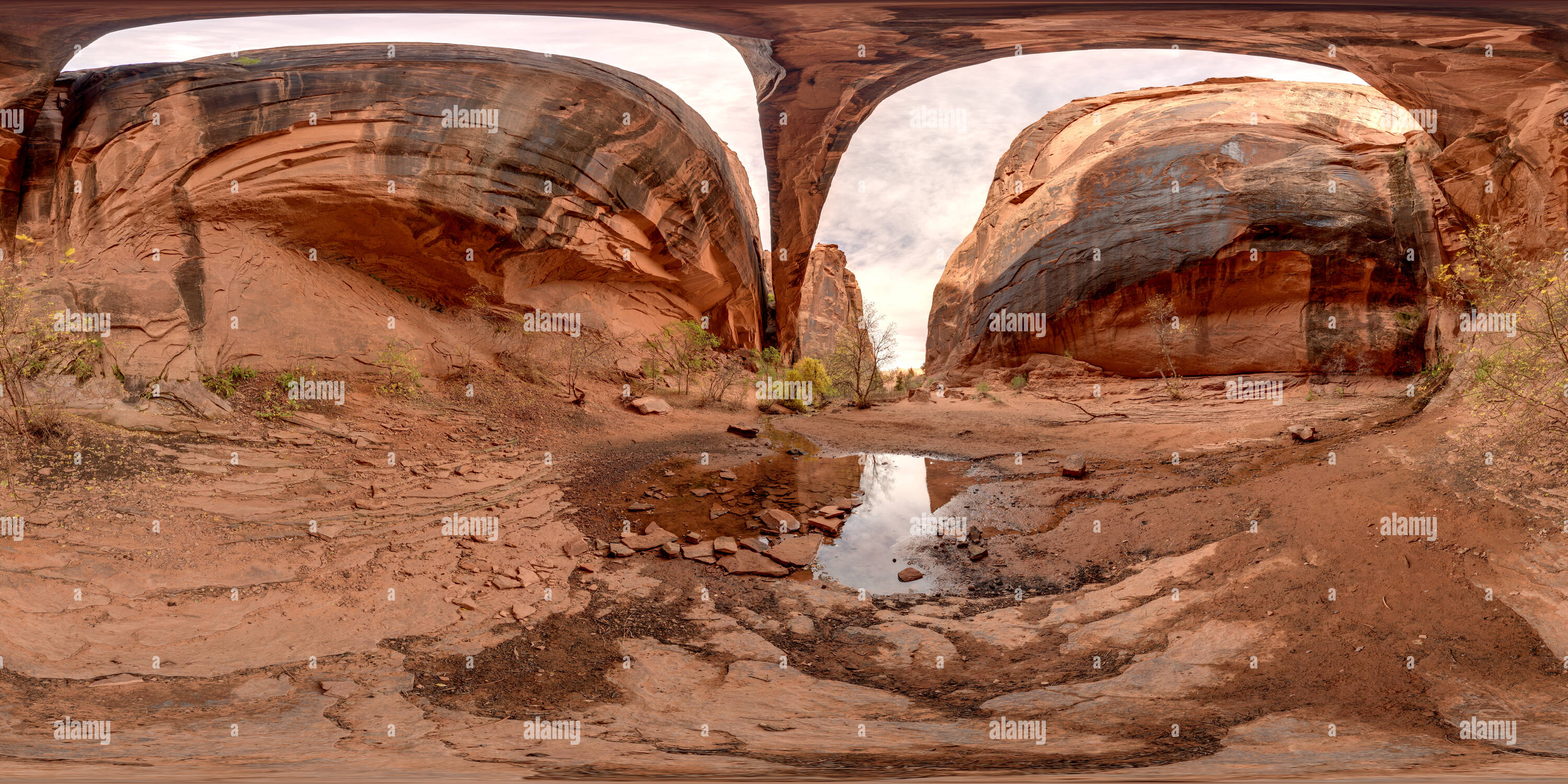 360° view of Morning Glory Arch One - Alamy