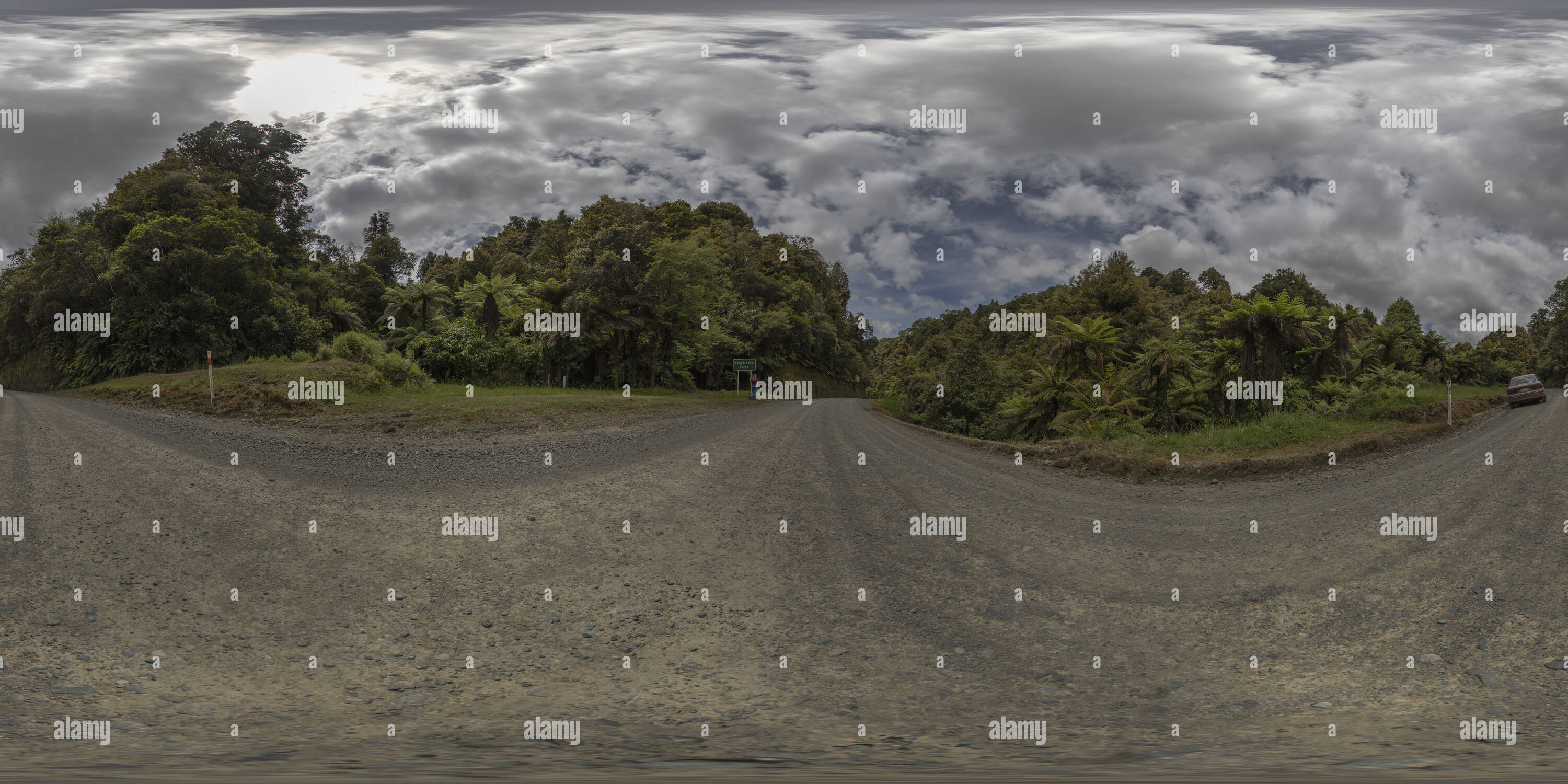 Tangarakau hi-res stock photography and images - Alamy