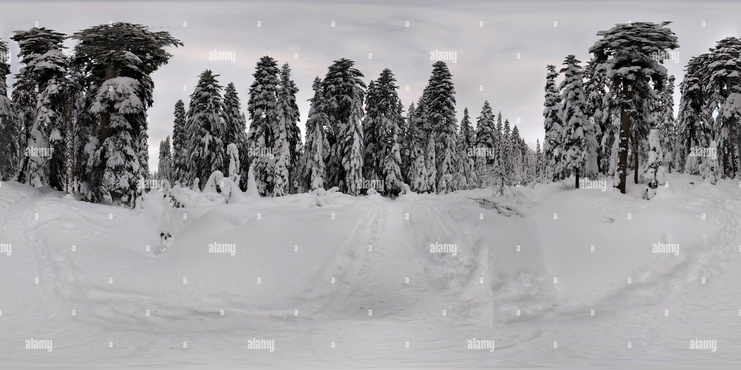 360° view of Near Snoqualmie Pass in the Snow - Alamy