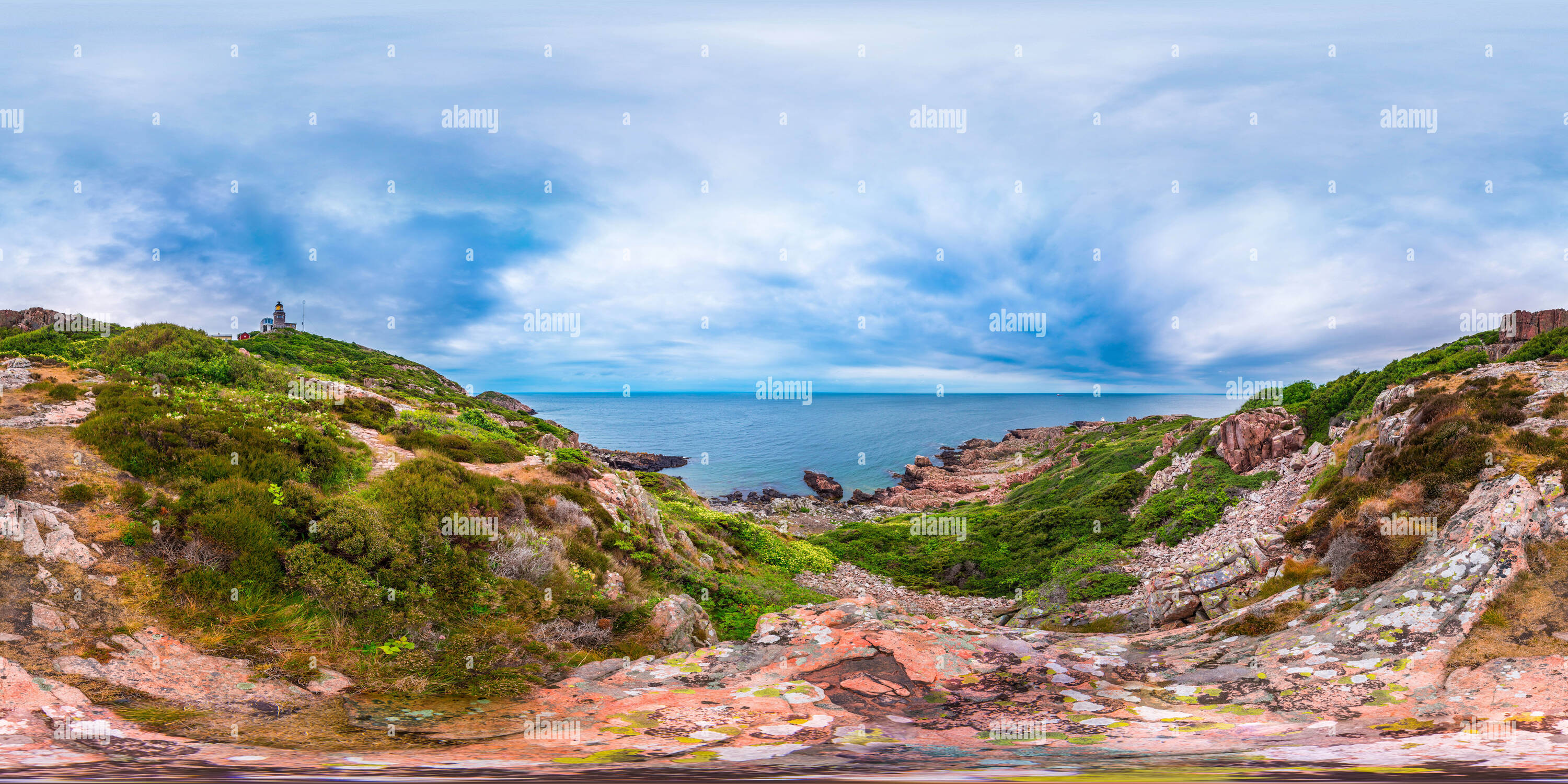 Kullaberg Nature Reserve Stock Photos & Kullaberg Nature Reserve Stock ...