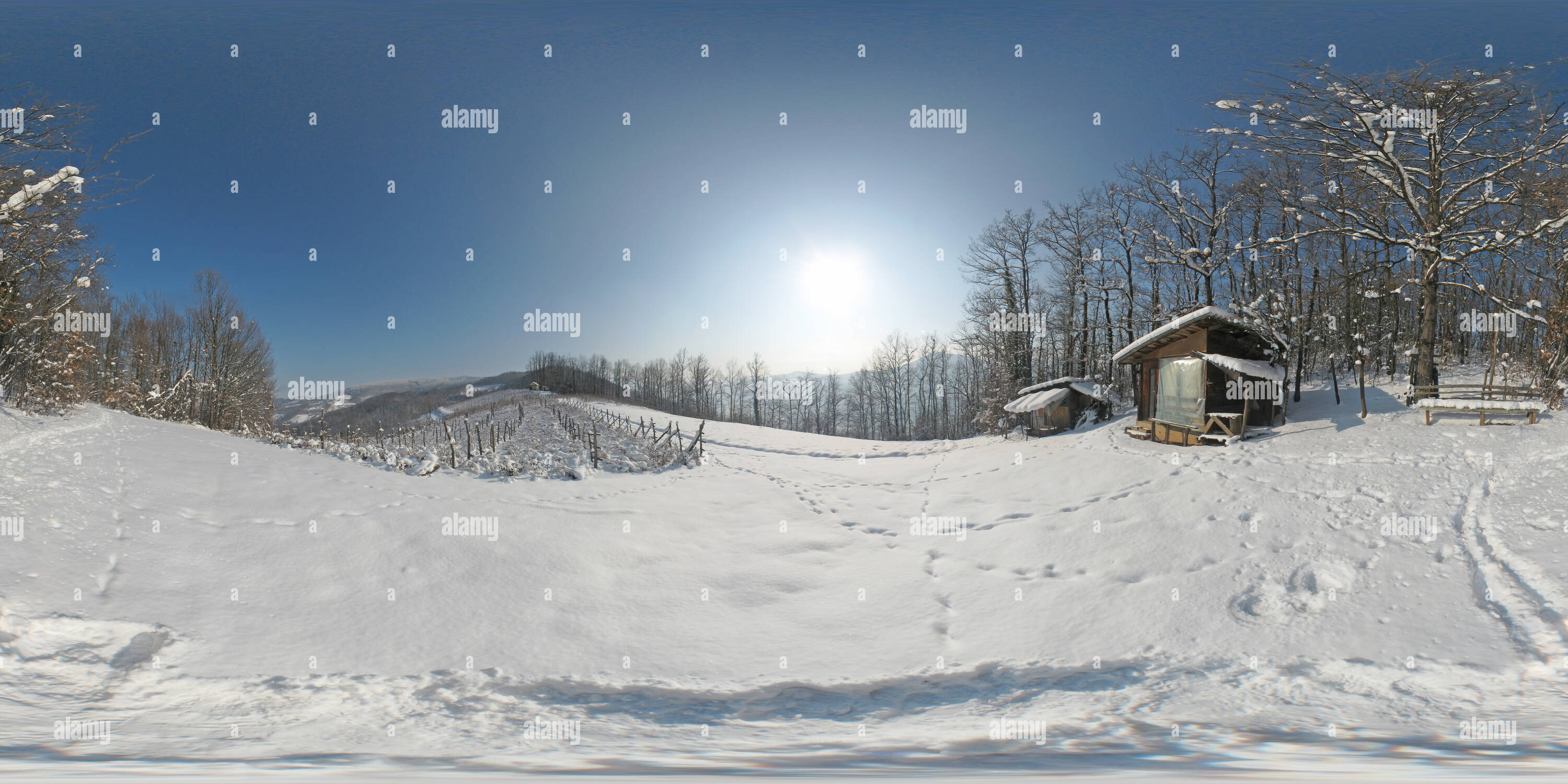 360° view of Ivanjica - Raspberry Fields in Winter - Alamy
