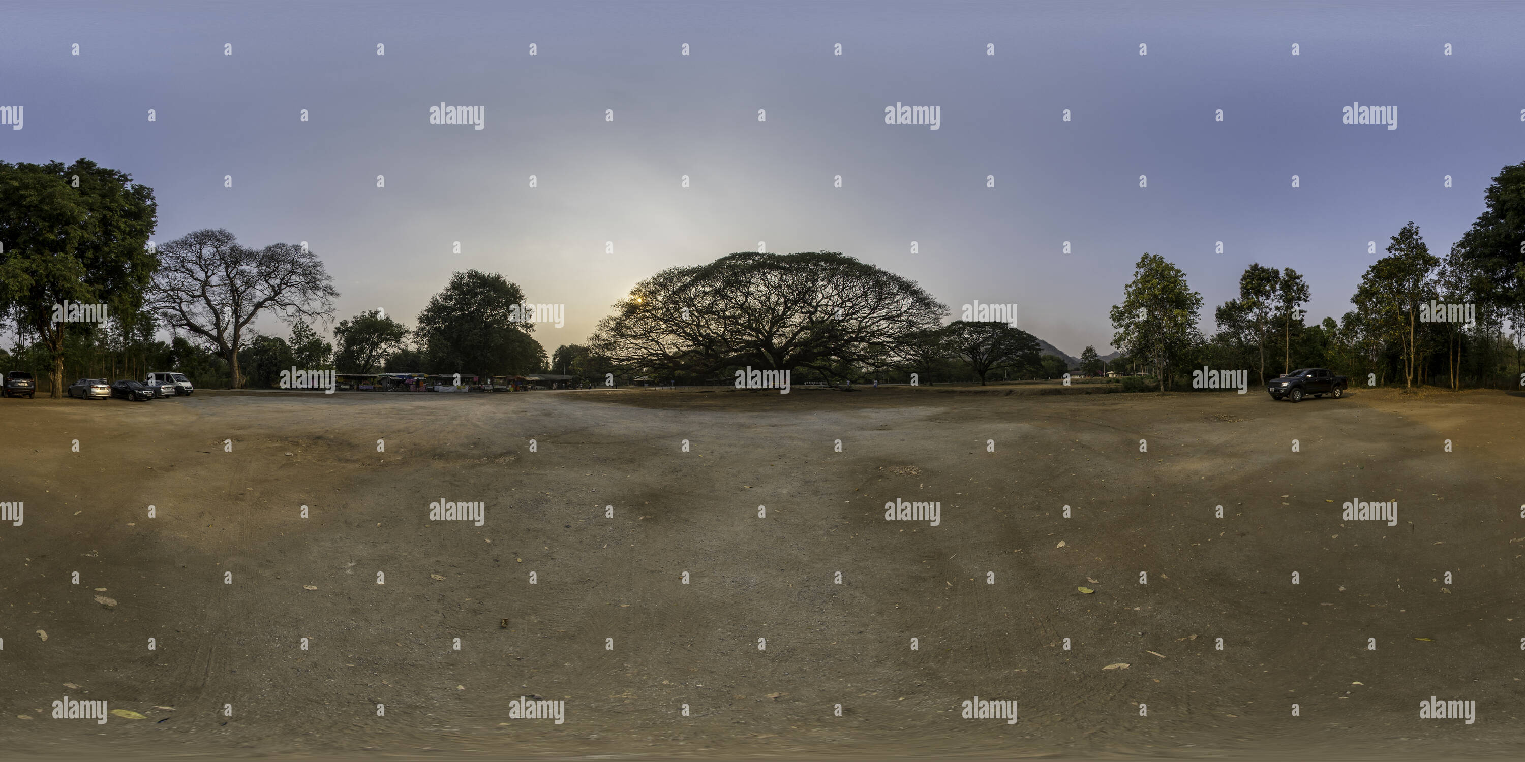 360° view of Giant Rain Tree, Kanchanaburi, Thailand, 2017 - Alamy