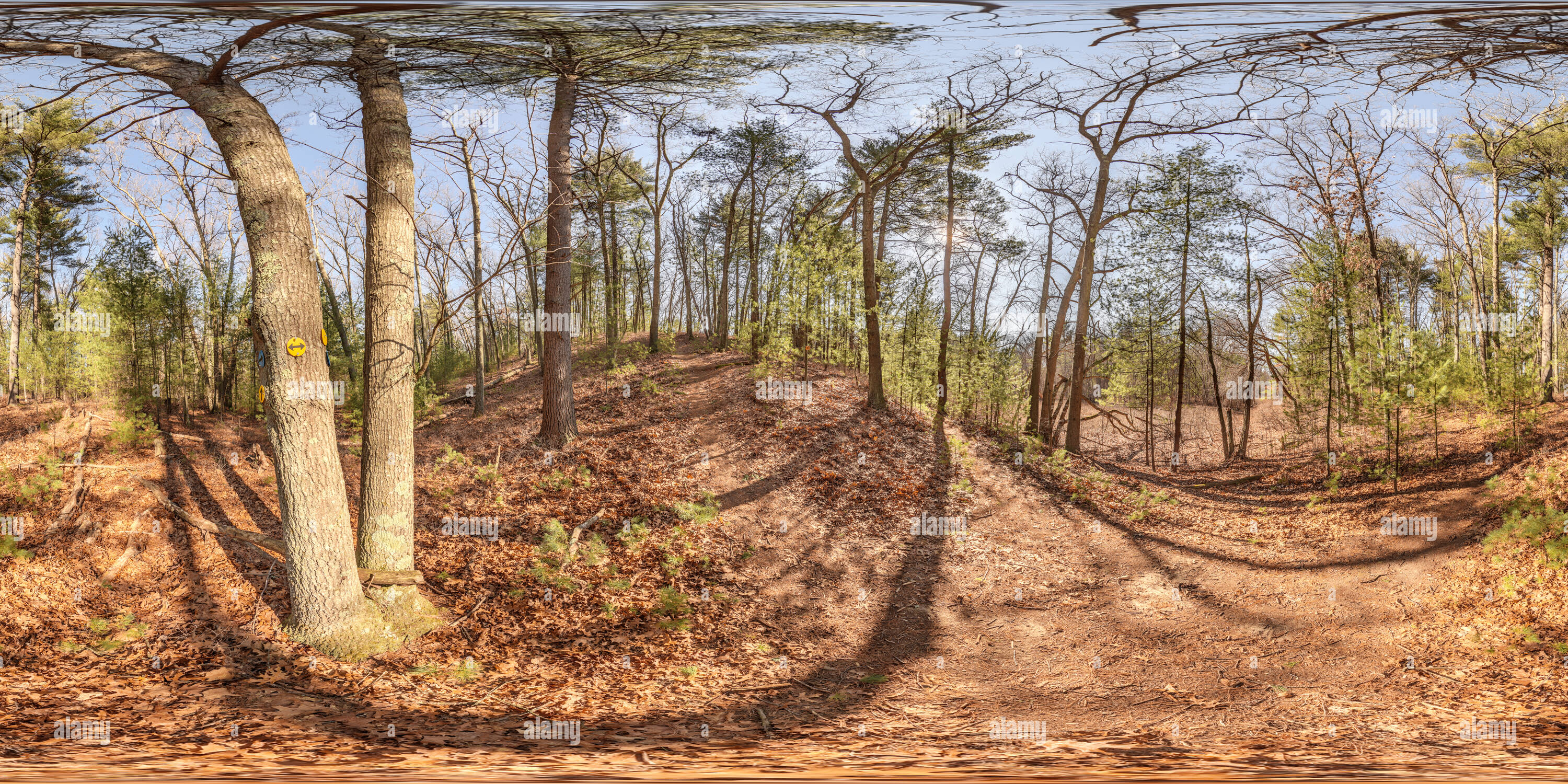 360° view of Near the Bog at the Foot of Pigeon Hill - Alamy