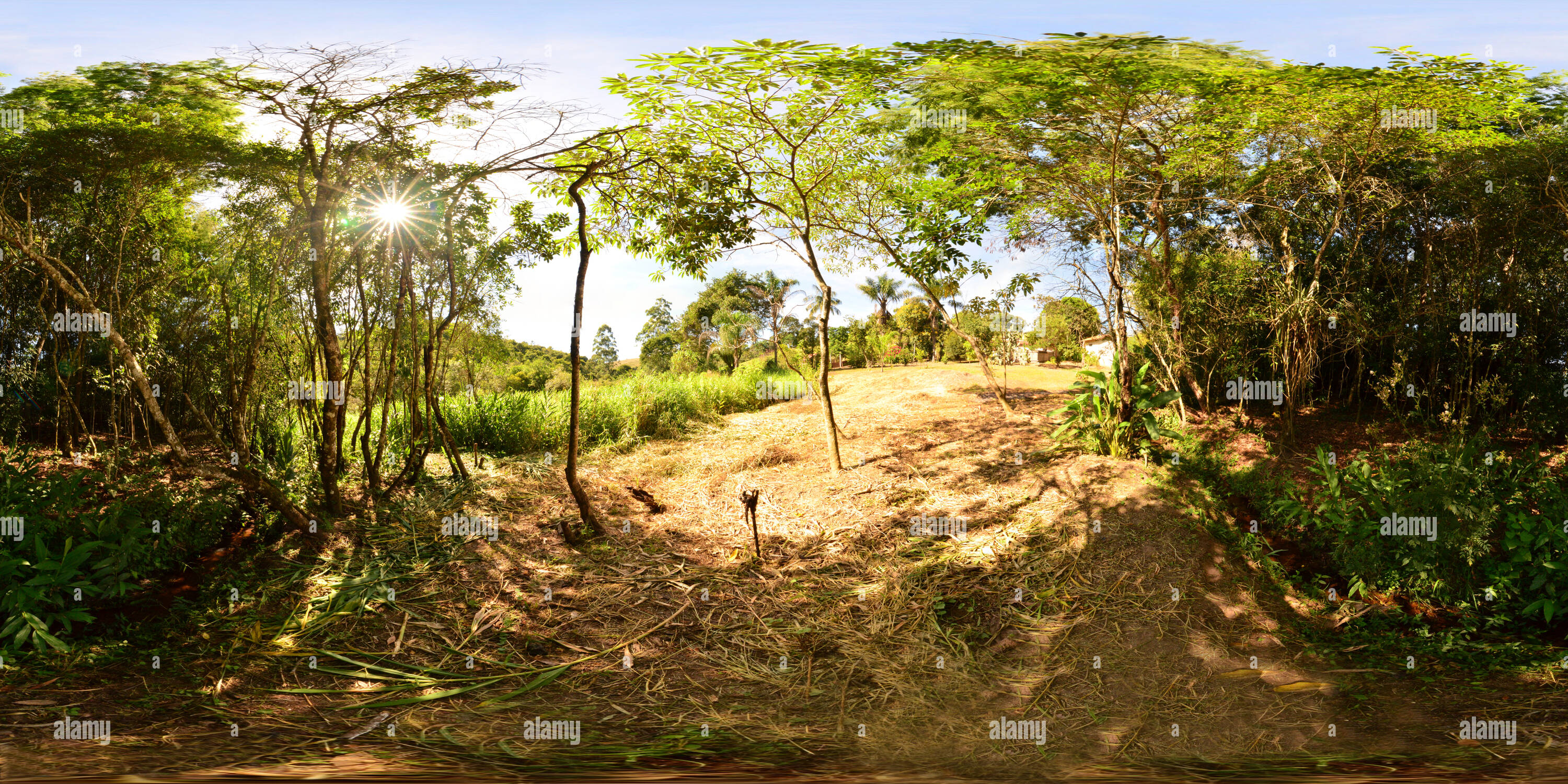 360° view of Farm, tropical ecosystem - Alamy