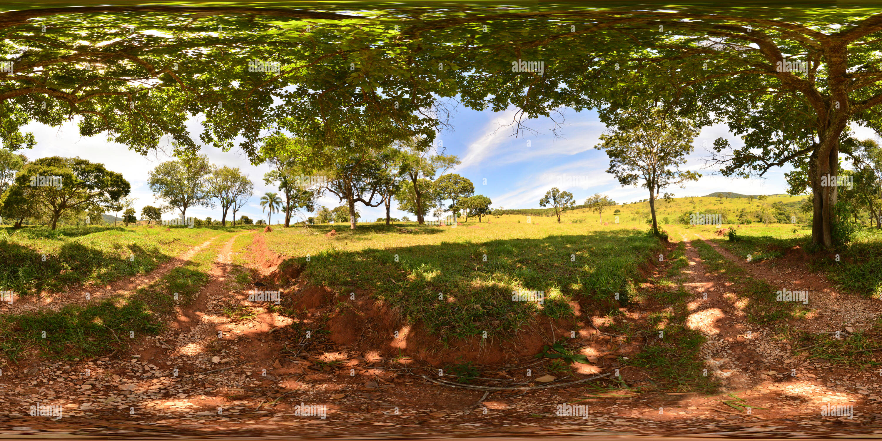 360° view of Farm, tropical ecosystem - Alamy