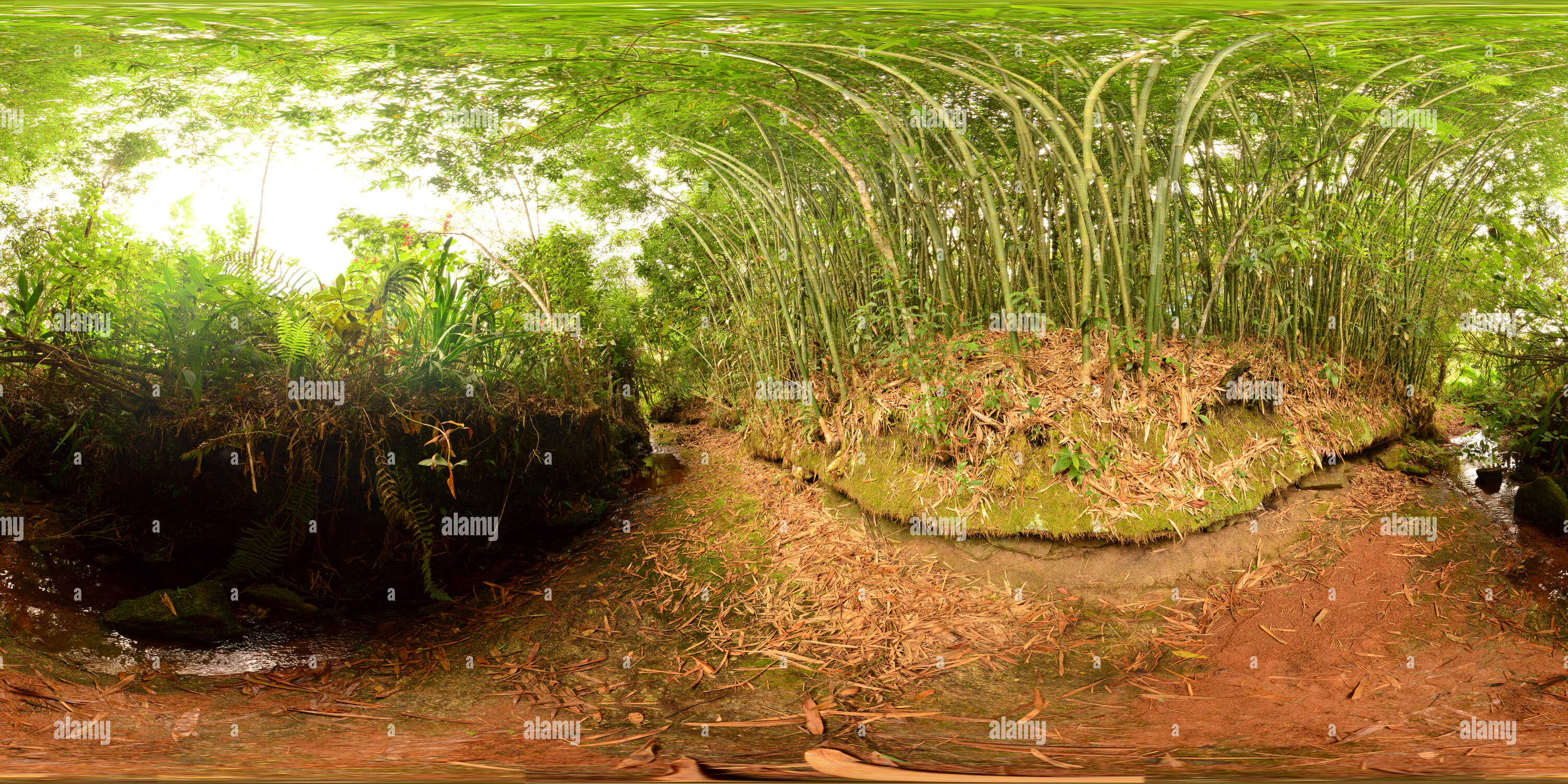 360° view of Farm, tropical ecosystem - Alamy