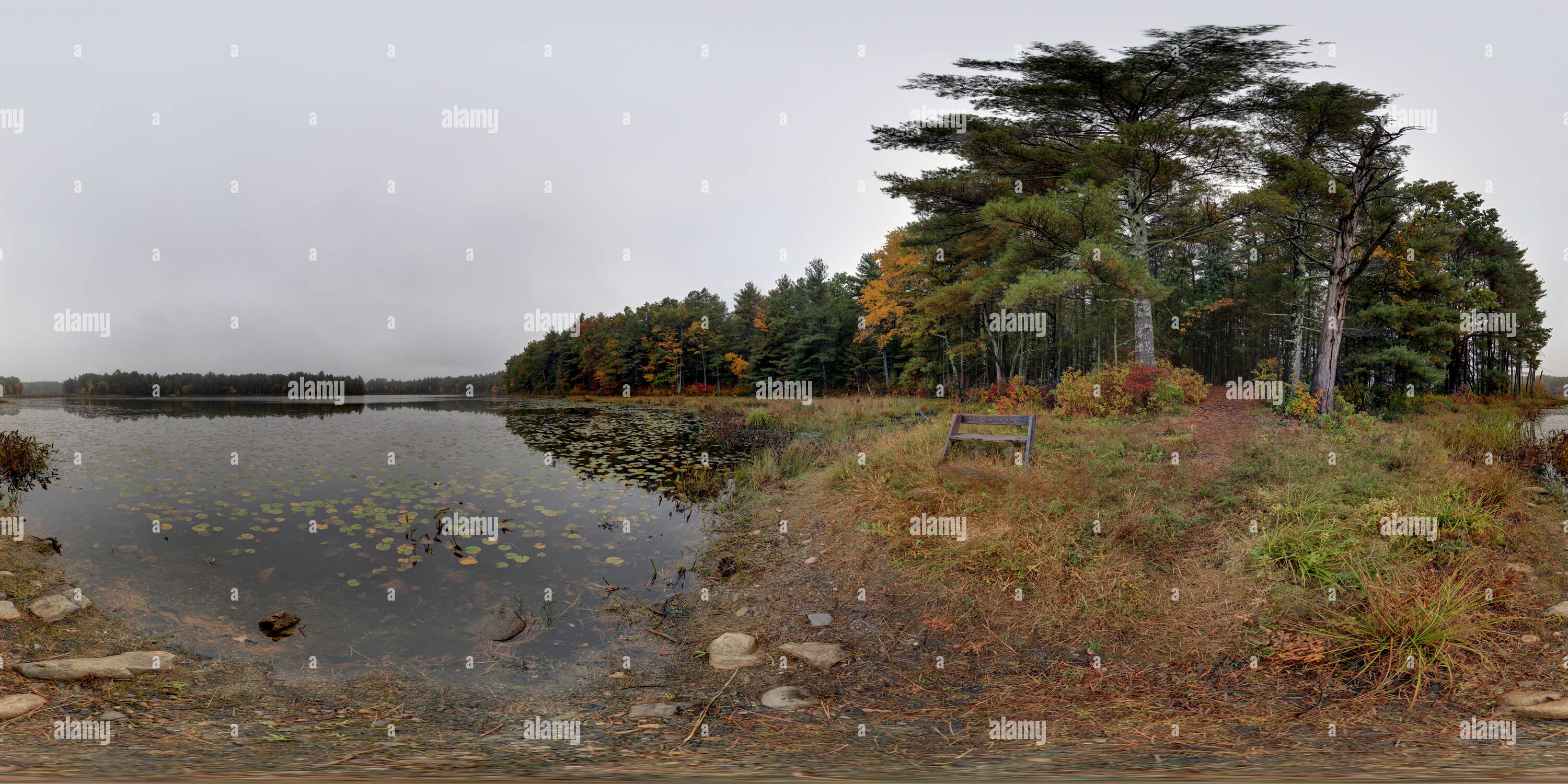 360° view of Western View of Puffer Pond at Assabat Refuge ...