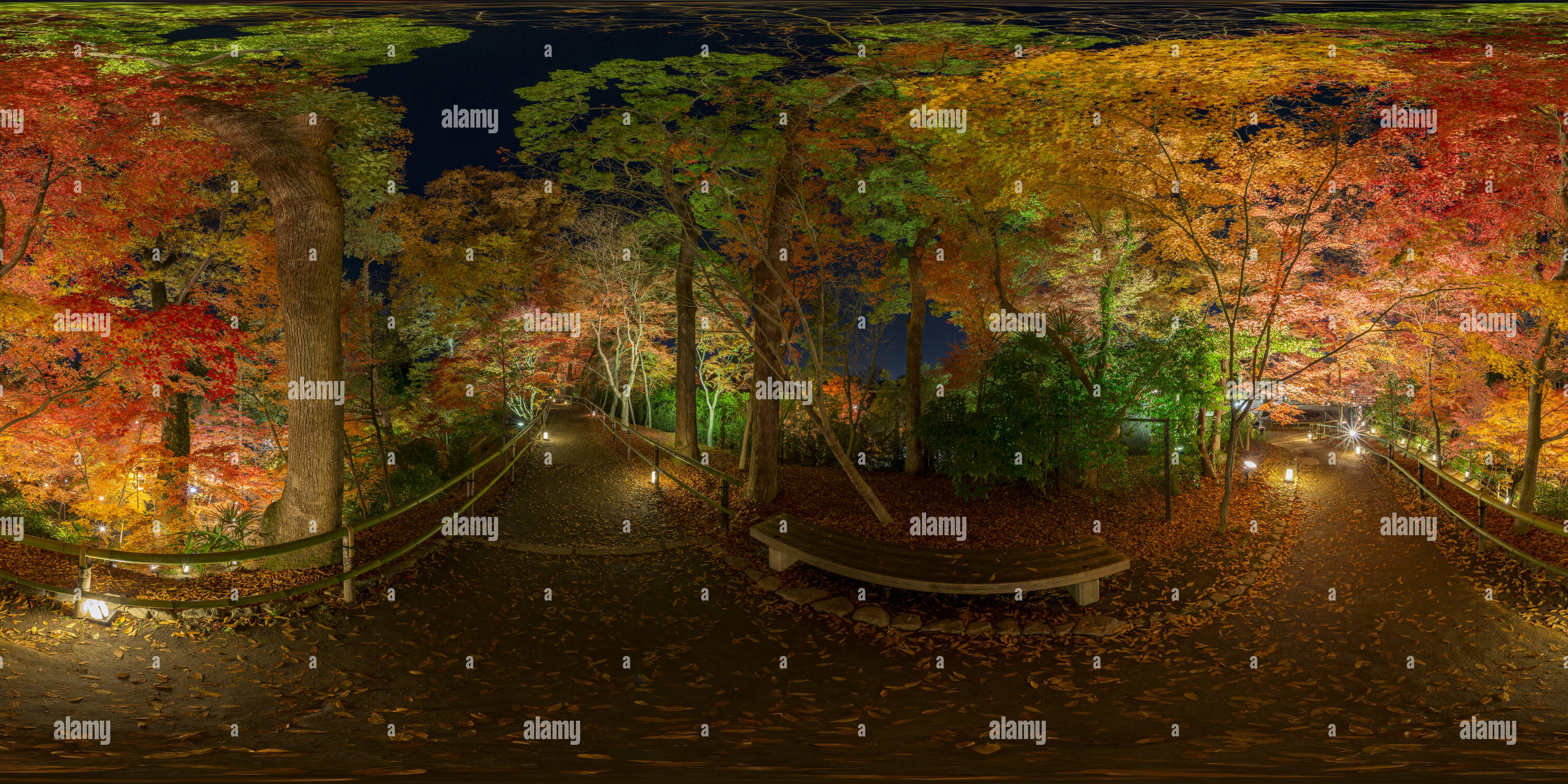 360° view of Autumn leaves are lighted up in Kitano Tenman-gu Shrine ...