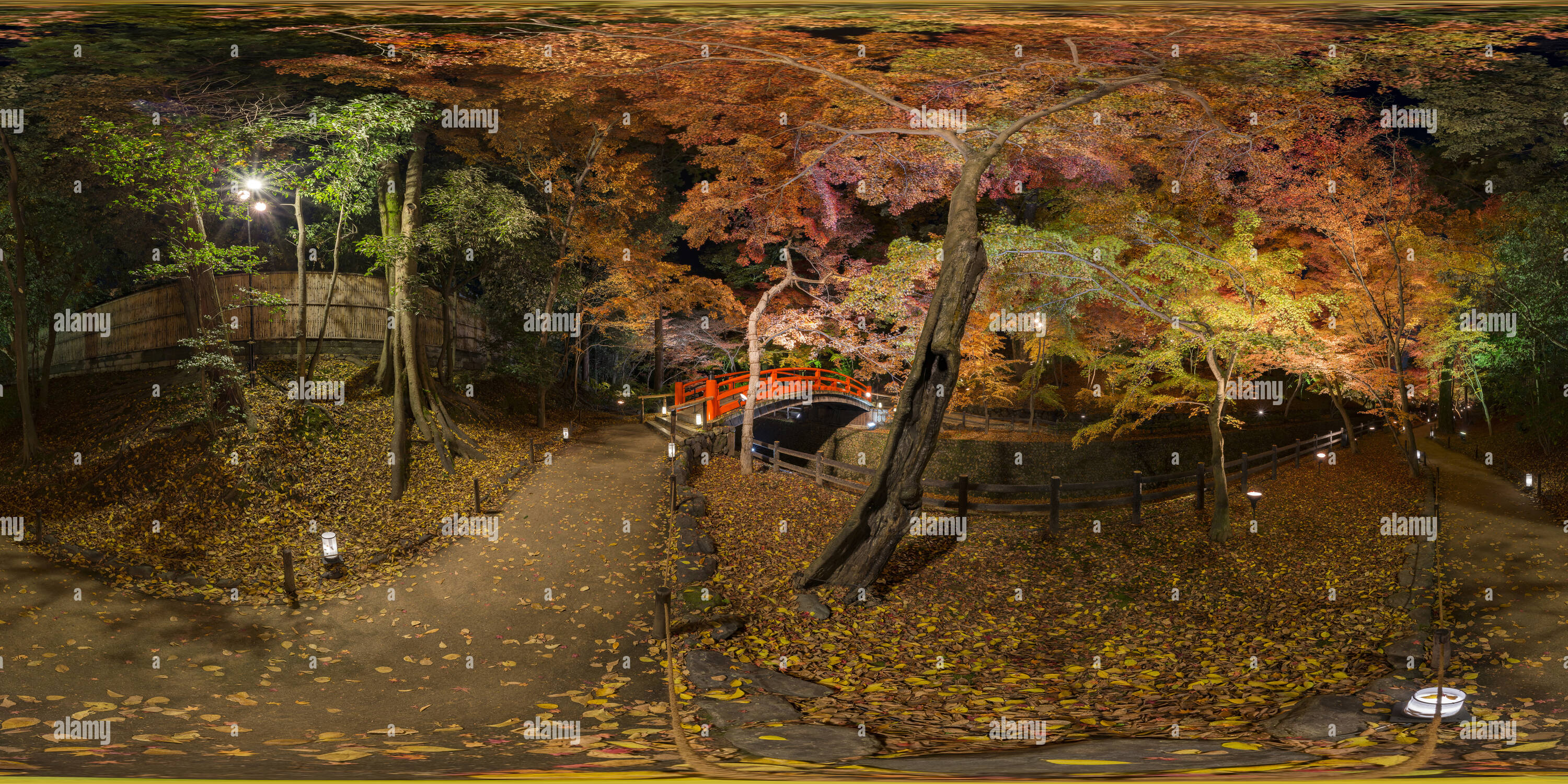 360° view of Autumn leaves are lighted up in Kitano Tenman-gu Shrine ...
