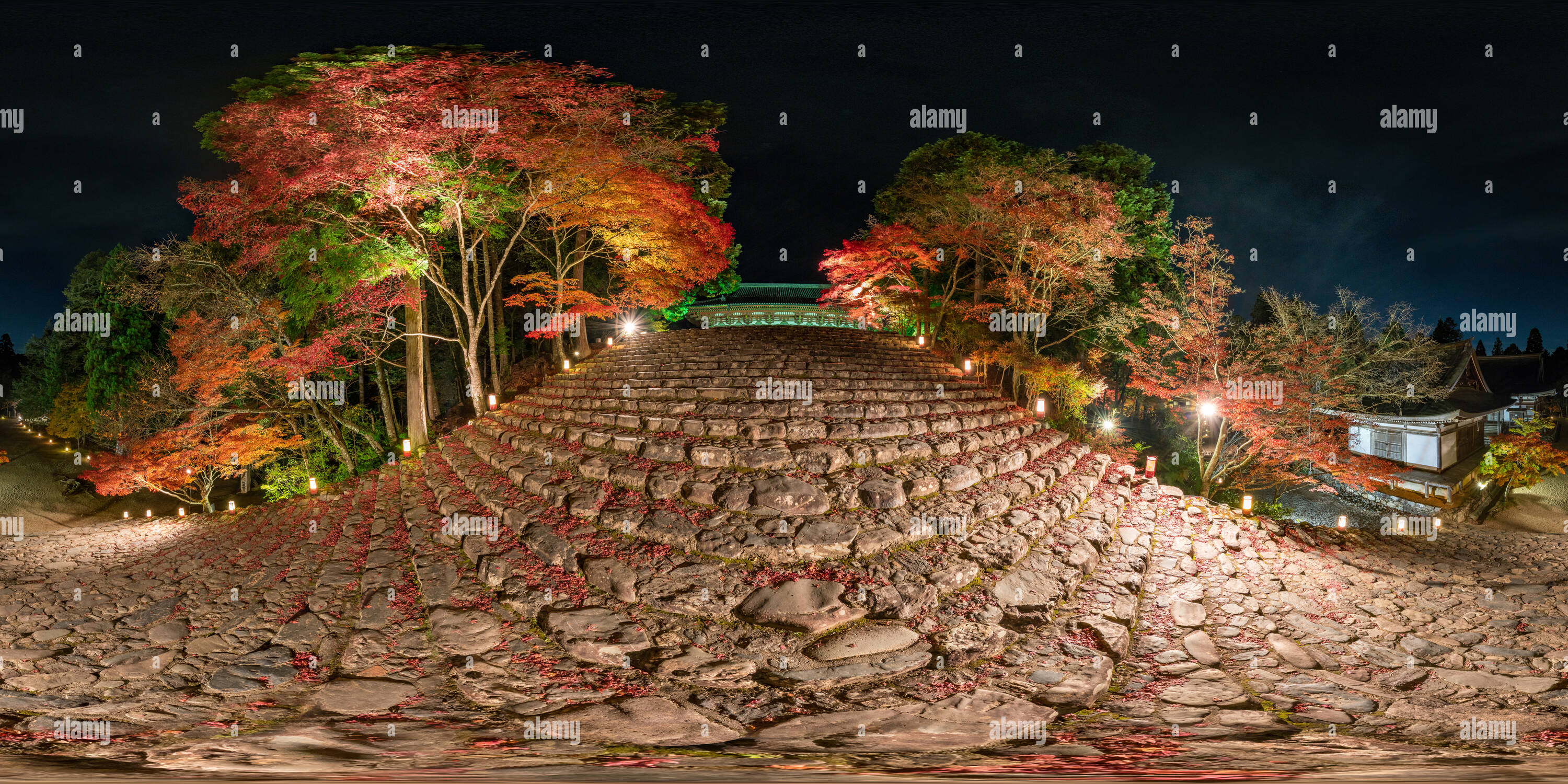 360° view of Autumn leaves lighted up Jingo-ji in Kyoto, Japan 05 - Alamy