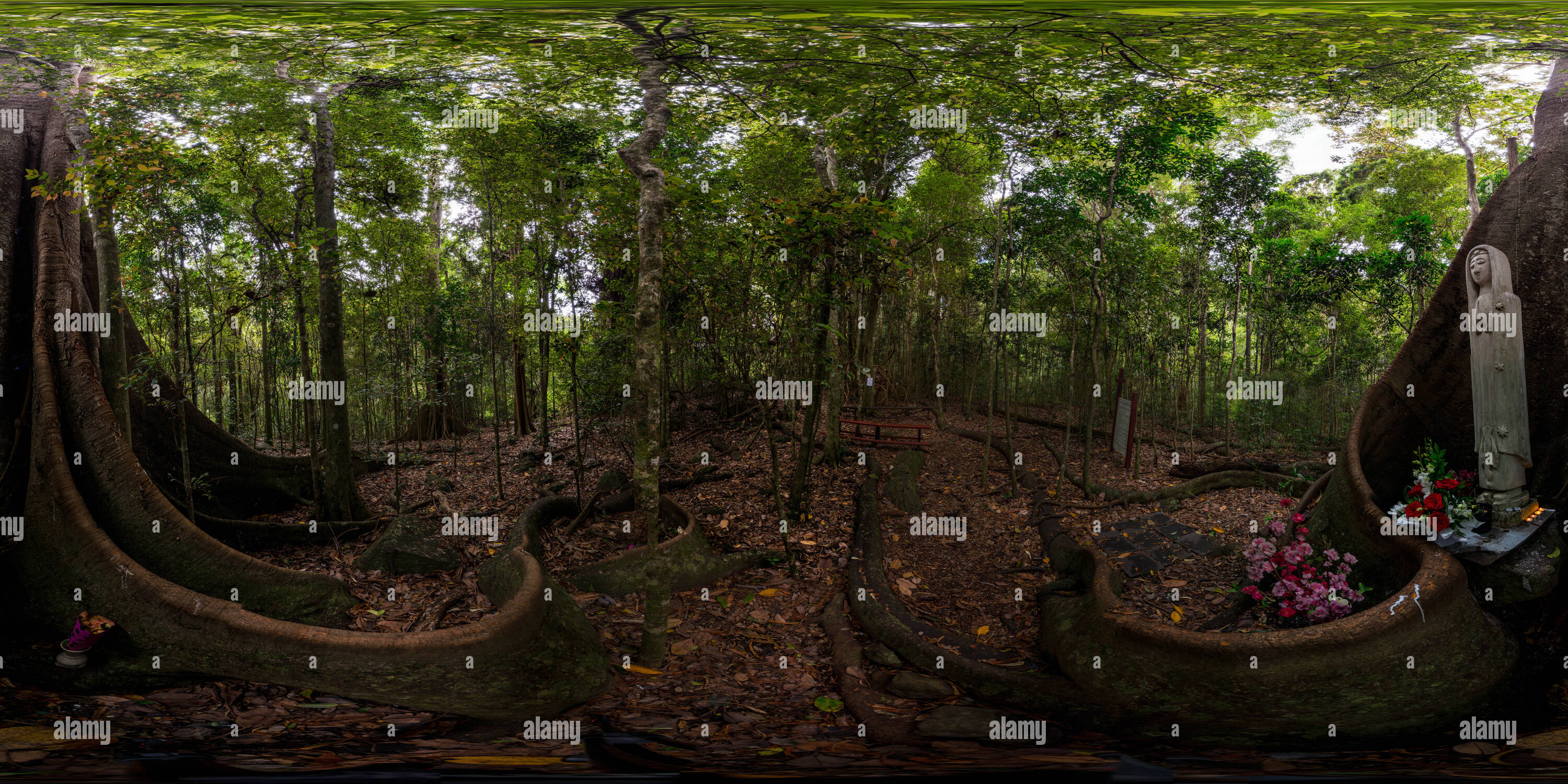 360° view of 48 Our Lady Of The Southern Cross Red - Alamy