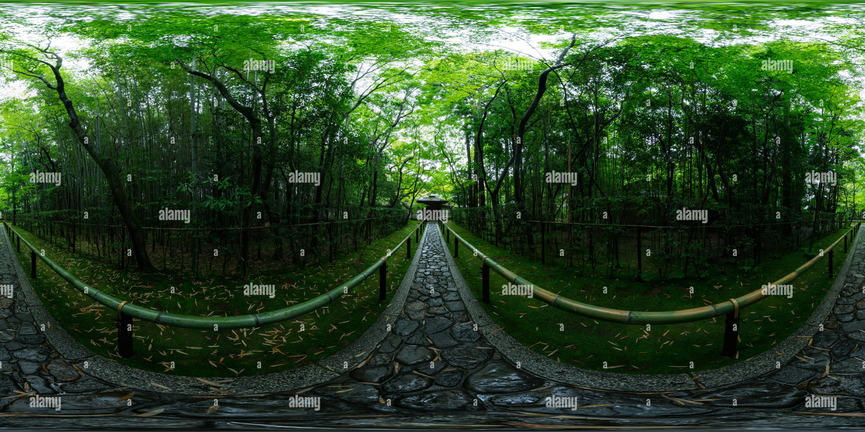 360° view of The fresh green of Koto-in temple at Kyoto, Japan 01 - Alamy