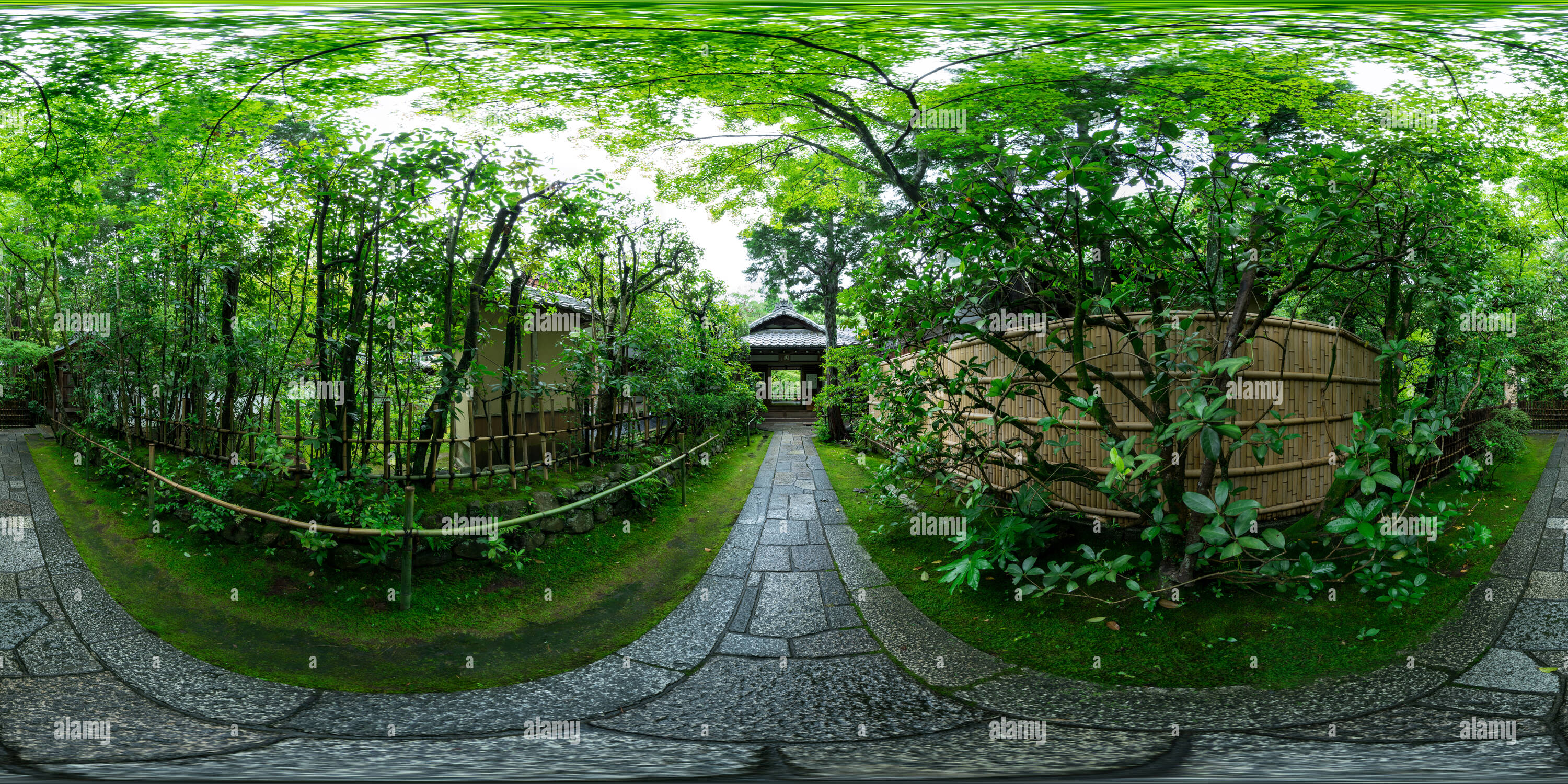 Koto in temple hi-res stock photography and images - Alamy