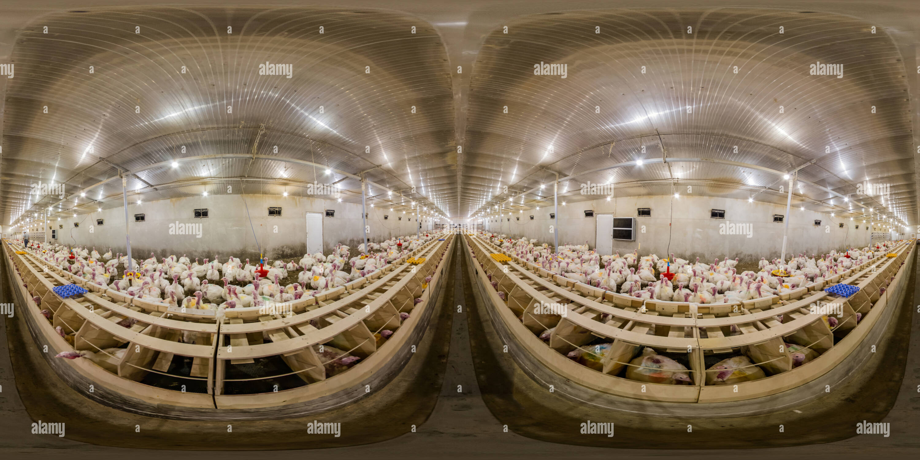 360° view of Zarin Jojeh Turkey 01 - Alamy