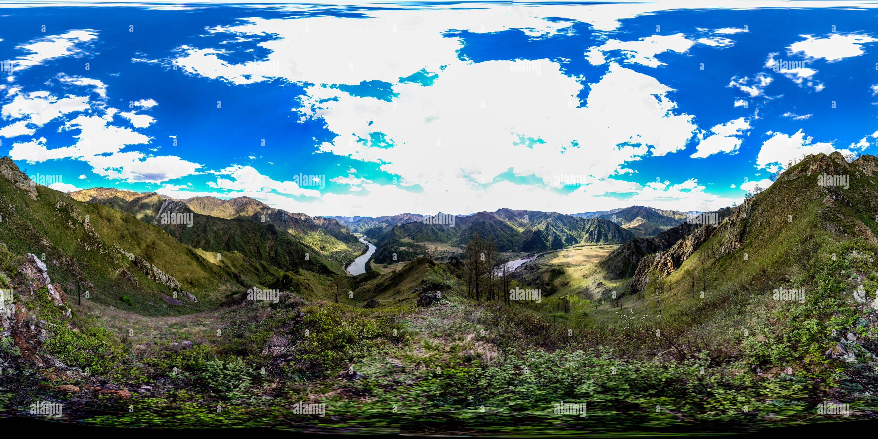 Elanda hi-res stock photography and images - Alamy