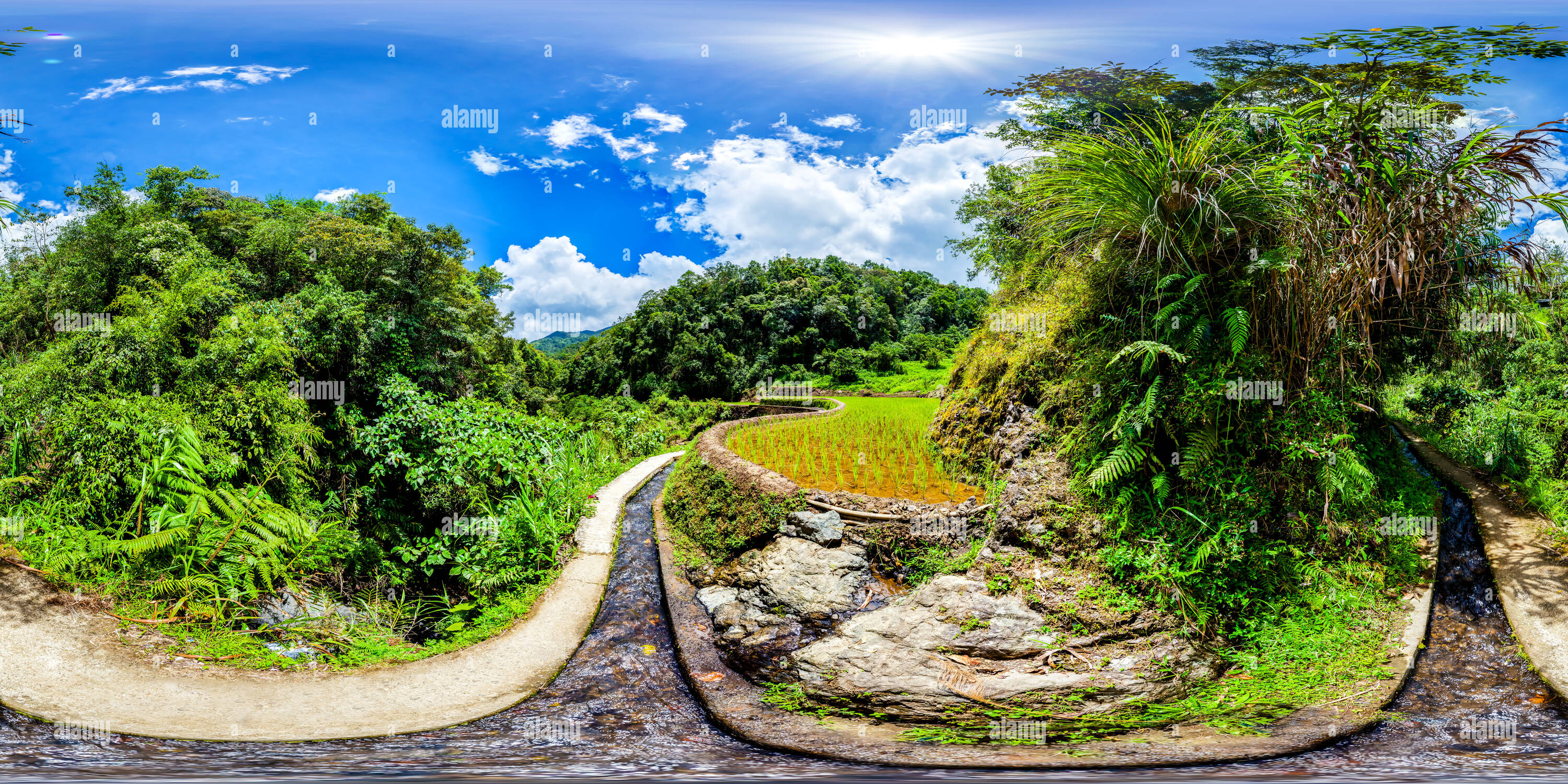 Rice terrace irrigation channel philippines hi-res stock photography ...
