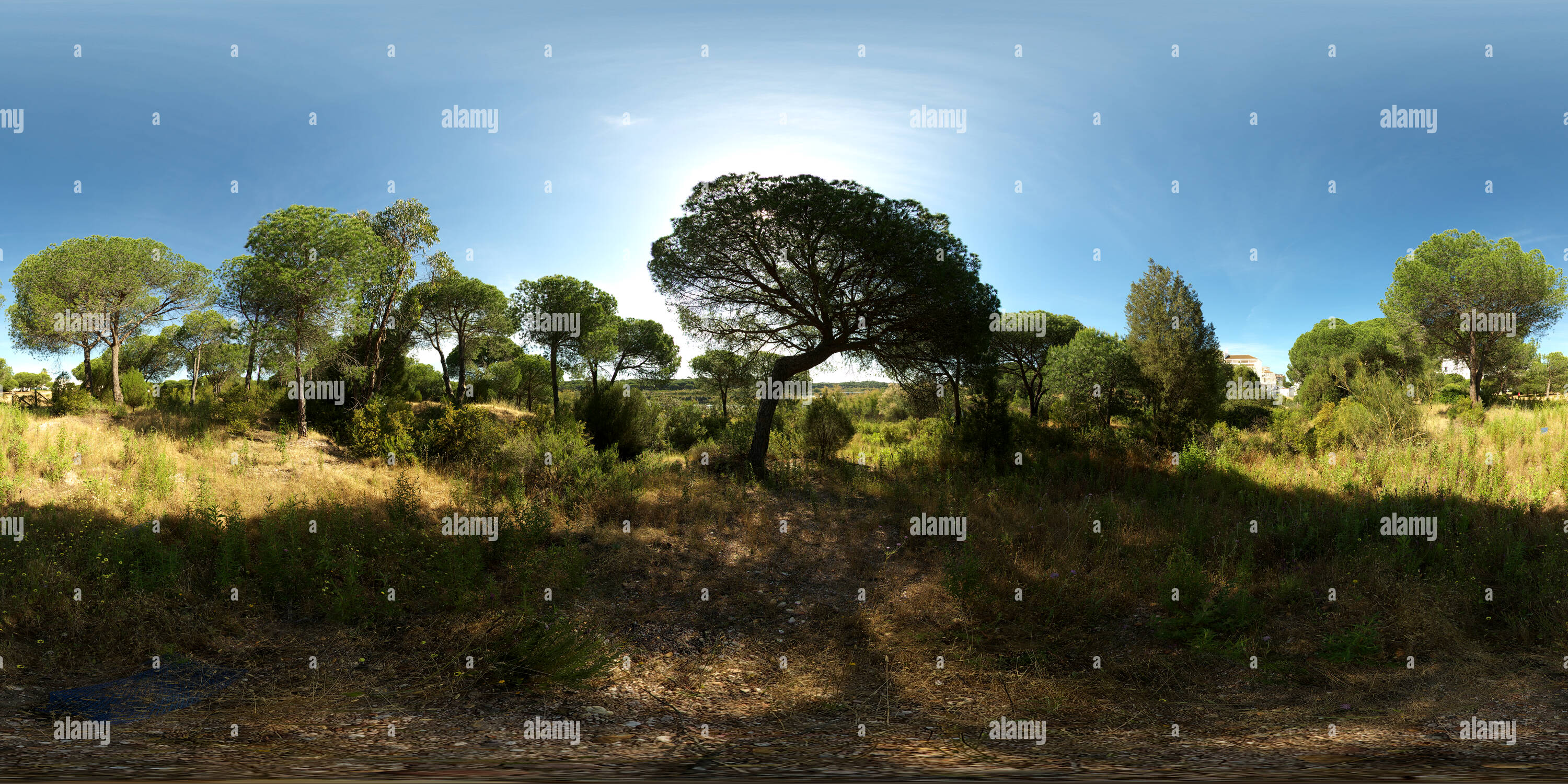 360° view of EL Portil lagoon - Alamy