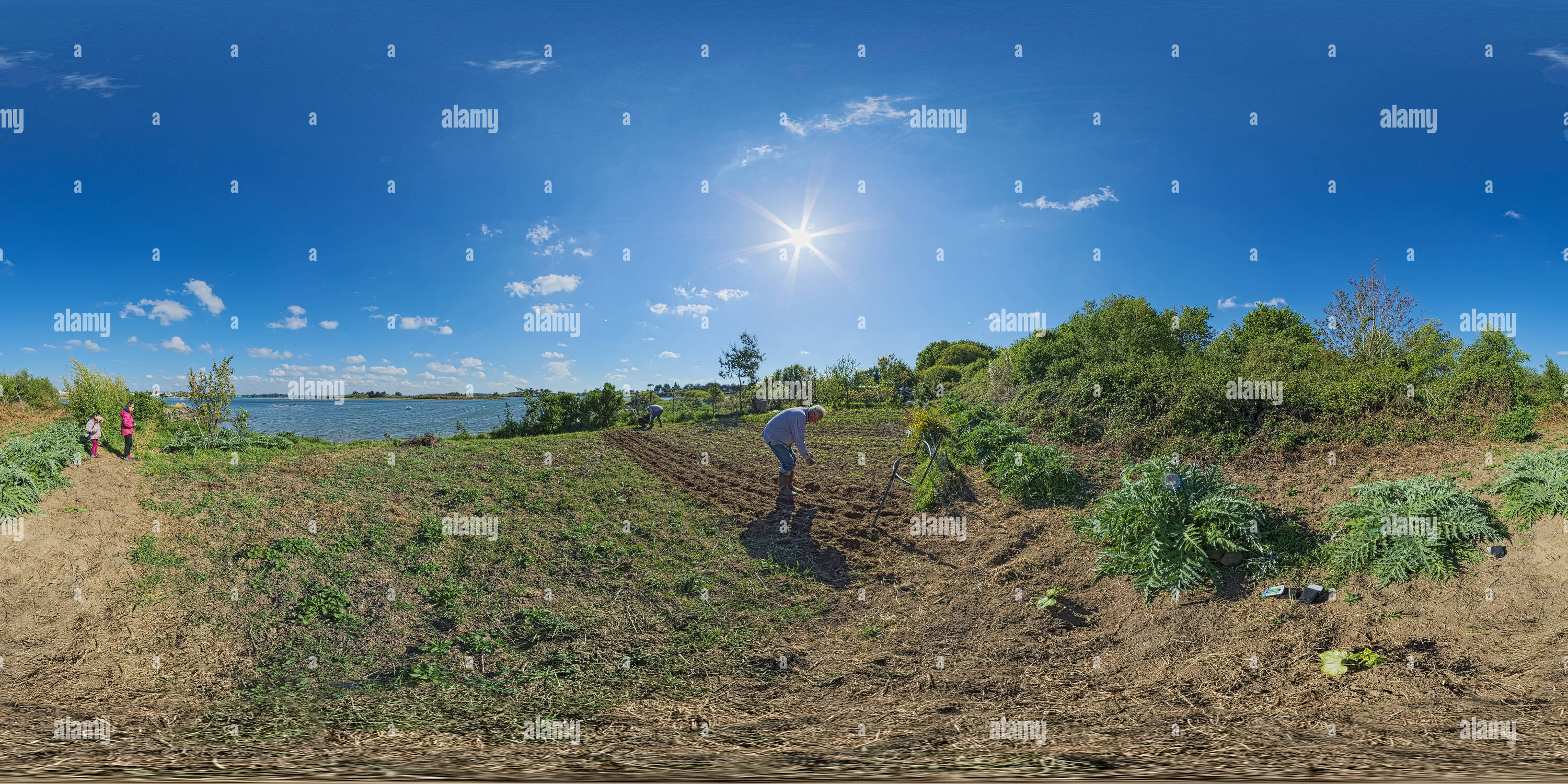 360° view of The gardener -by the sea, under the sun - Alamy