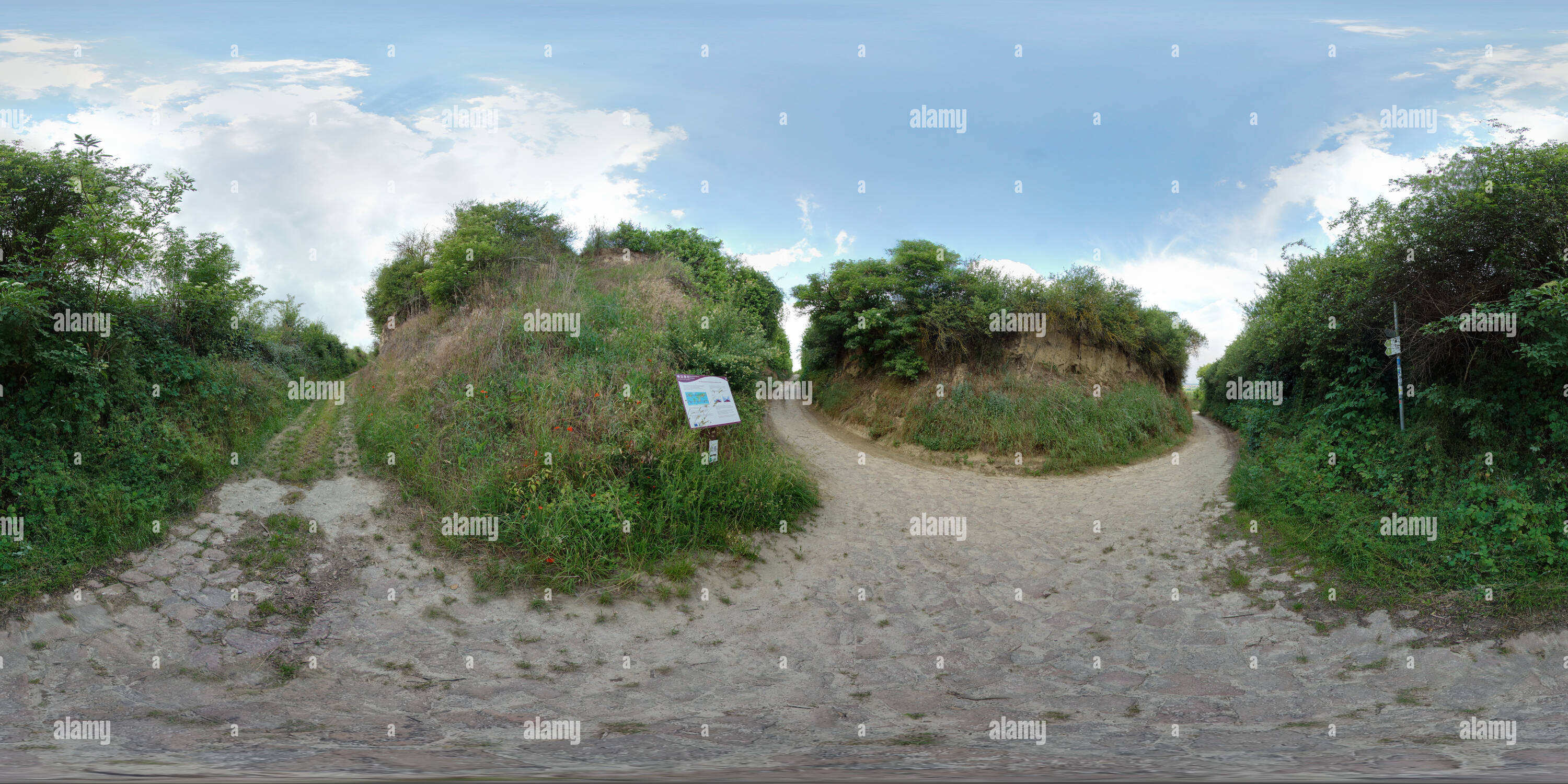 Sunken Lane Stock Photos & Sunken Lane Stock Images - Alamy