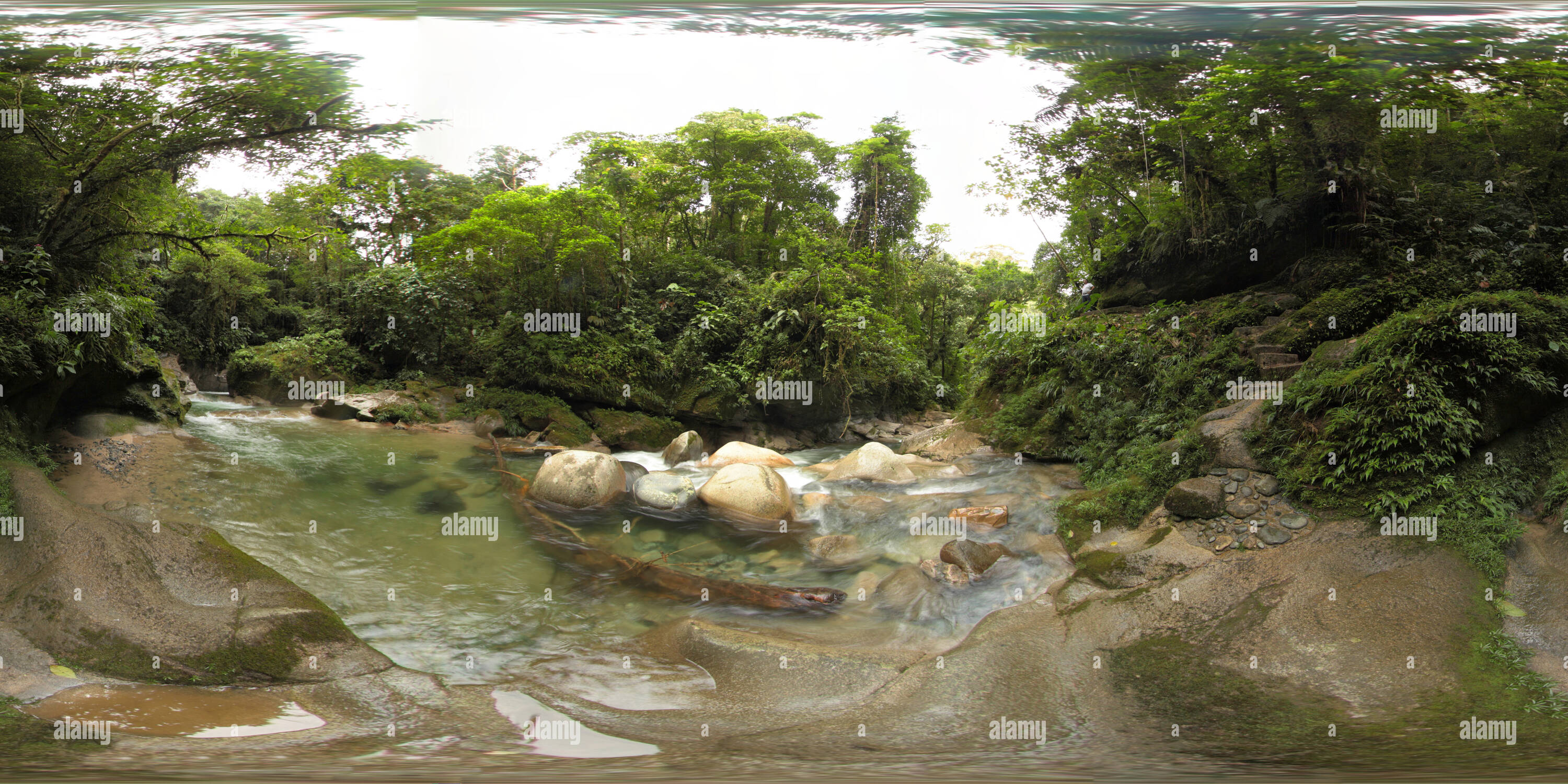 Tena jungle hi-res stock photography and images - Alamy