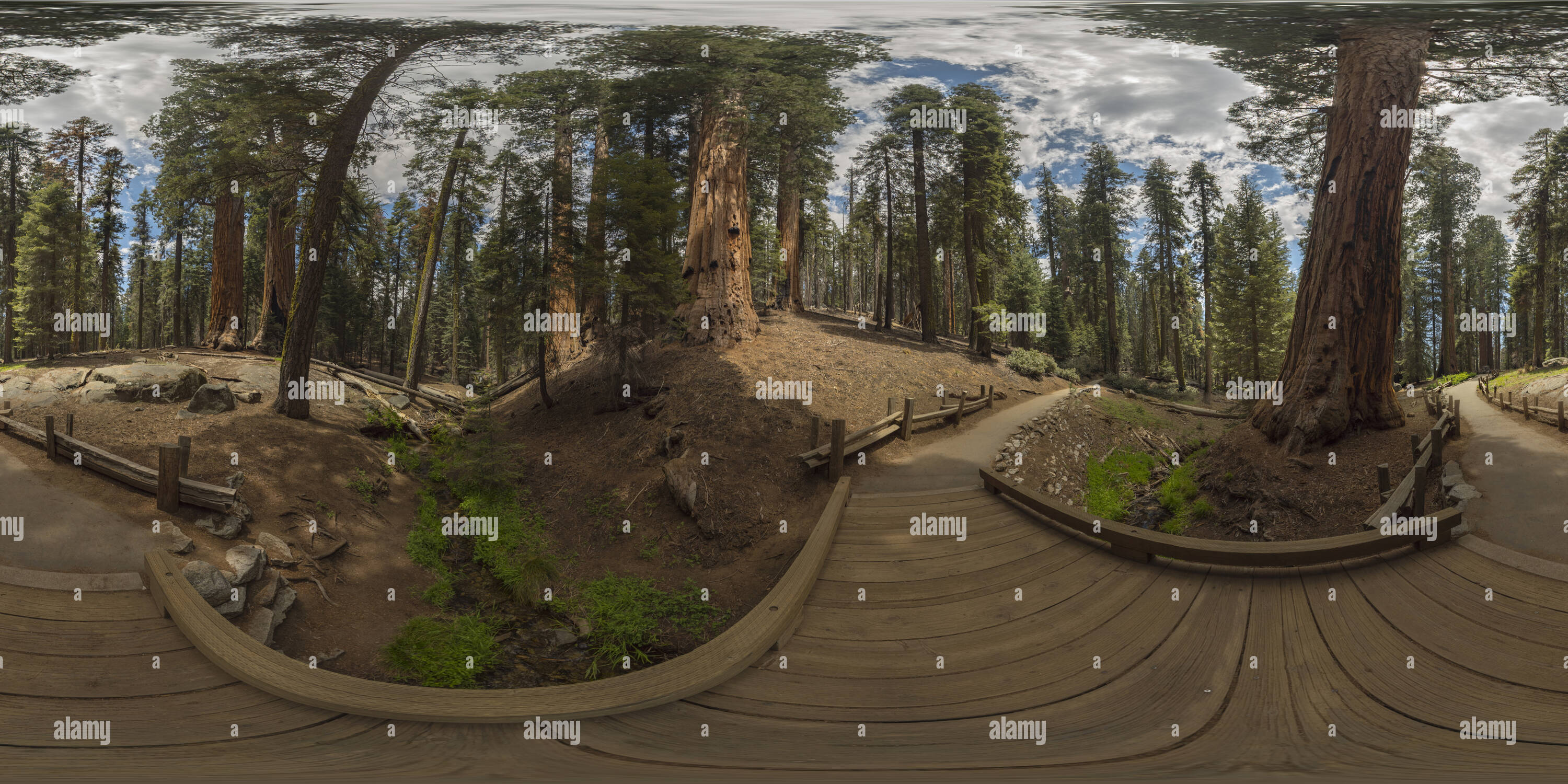 360° view of Sequoia National Park - Alamy