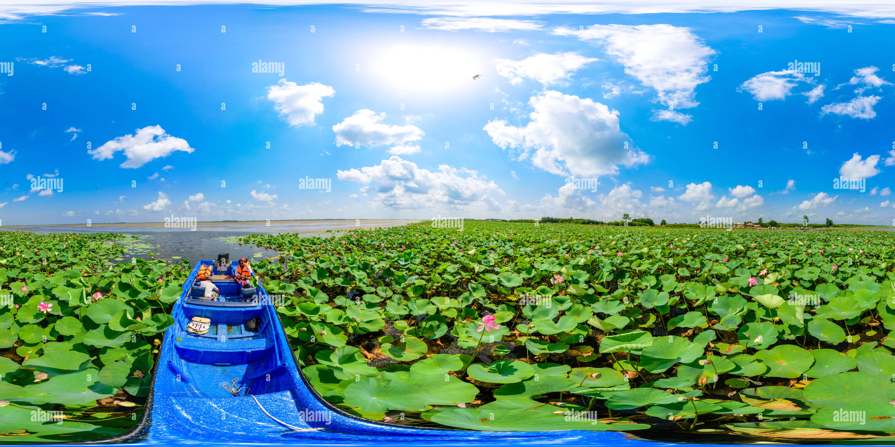 Anzali hi-res stock photography and images - Alamy