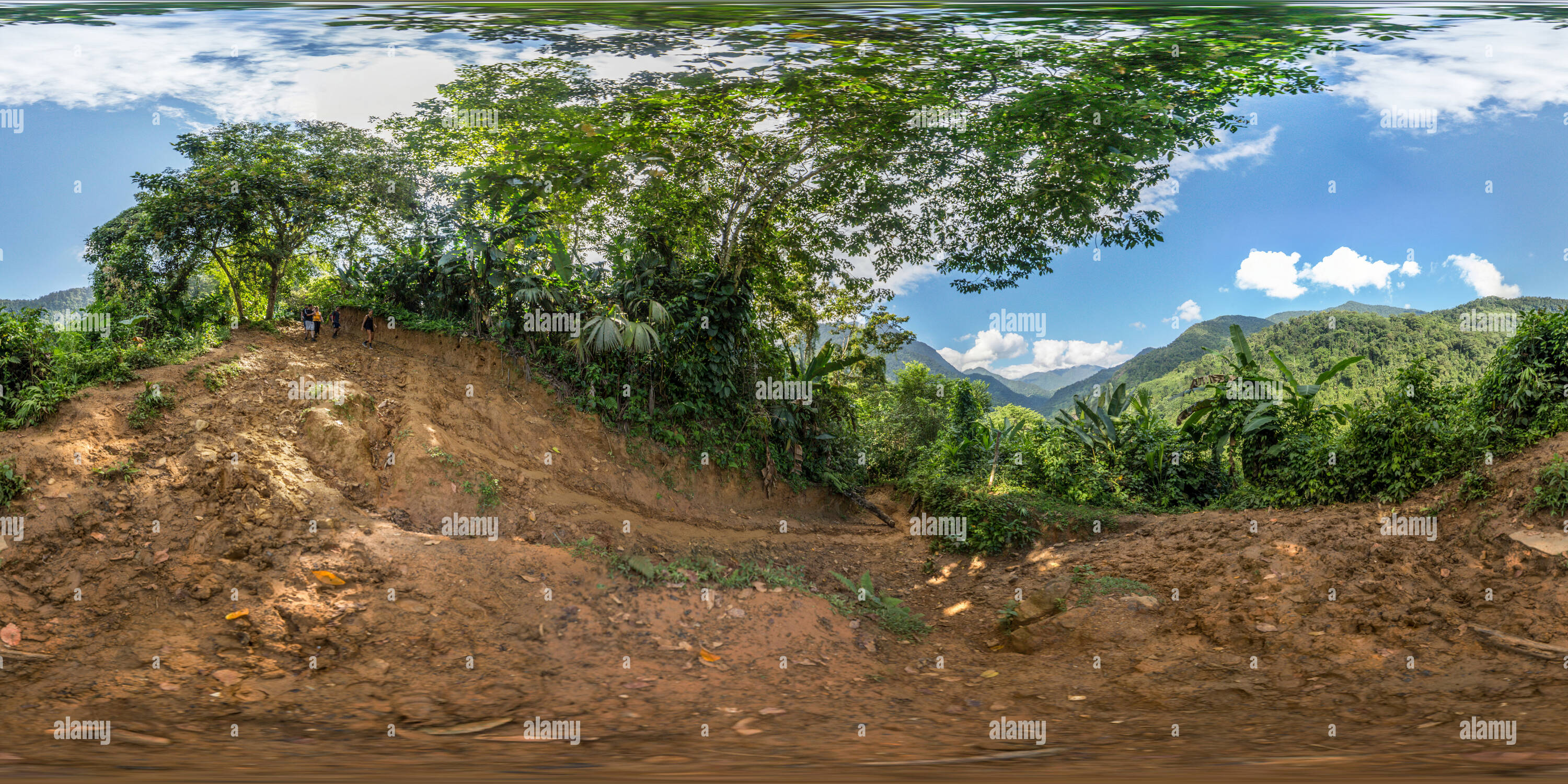 360° view of COLOMBIA - Lost City Trek 9 - Jungle Trail - Alamy
