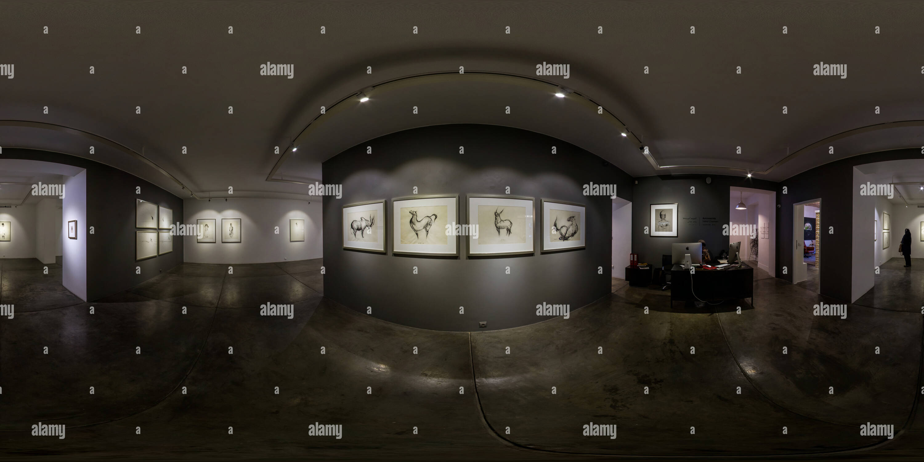 Shirin art gallery hi-res stock photography and images - Alamy