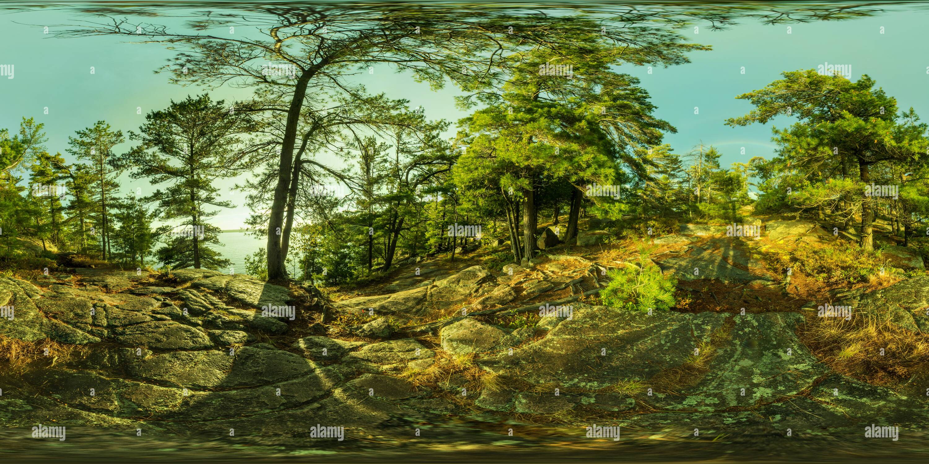 360° view of Rainy Sunset in the woods at Harold's Point in Killbear ...