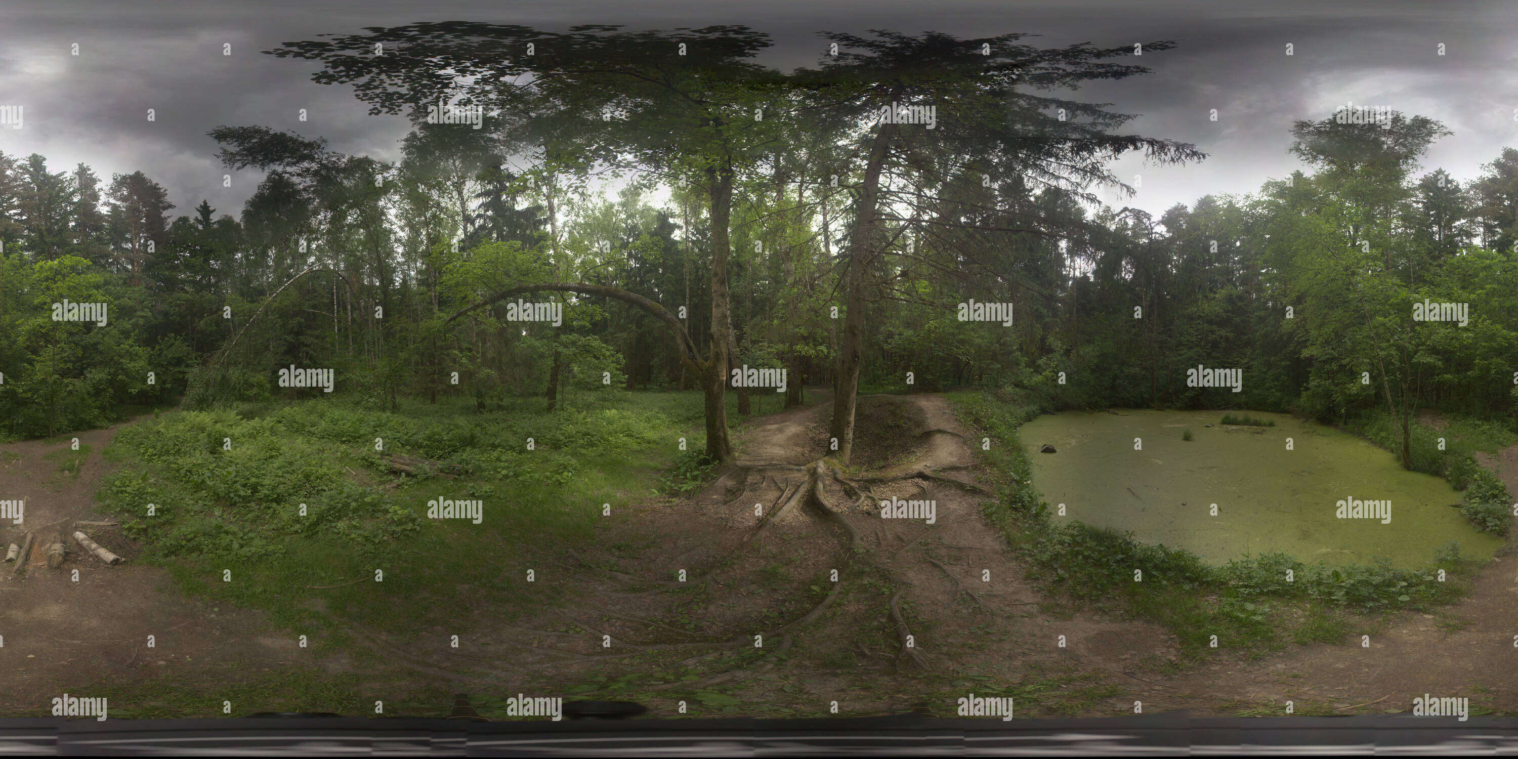 Duckweed net hi-res stock photography and images - Alamy