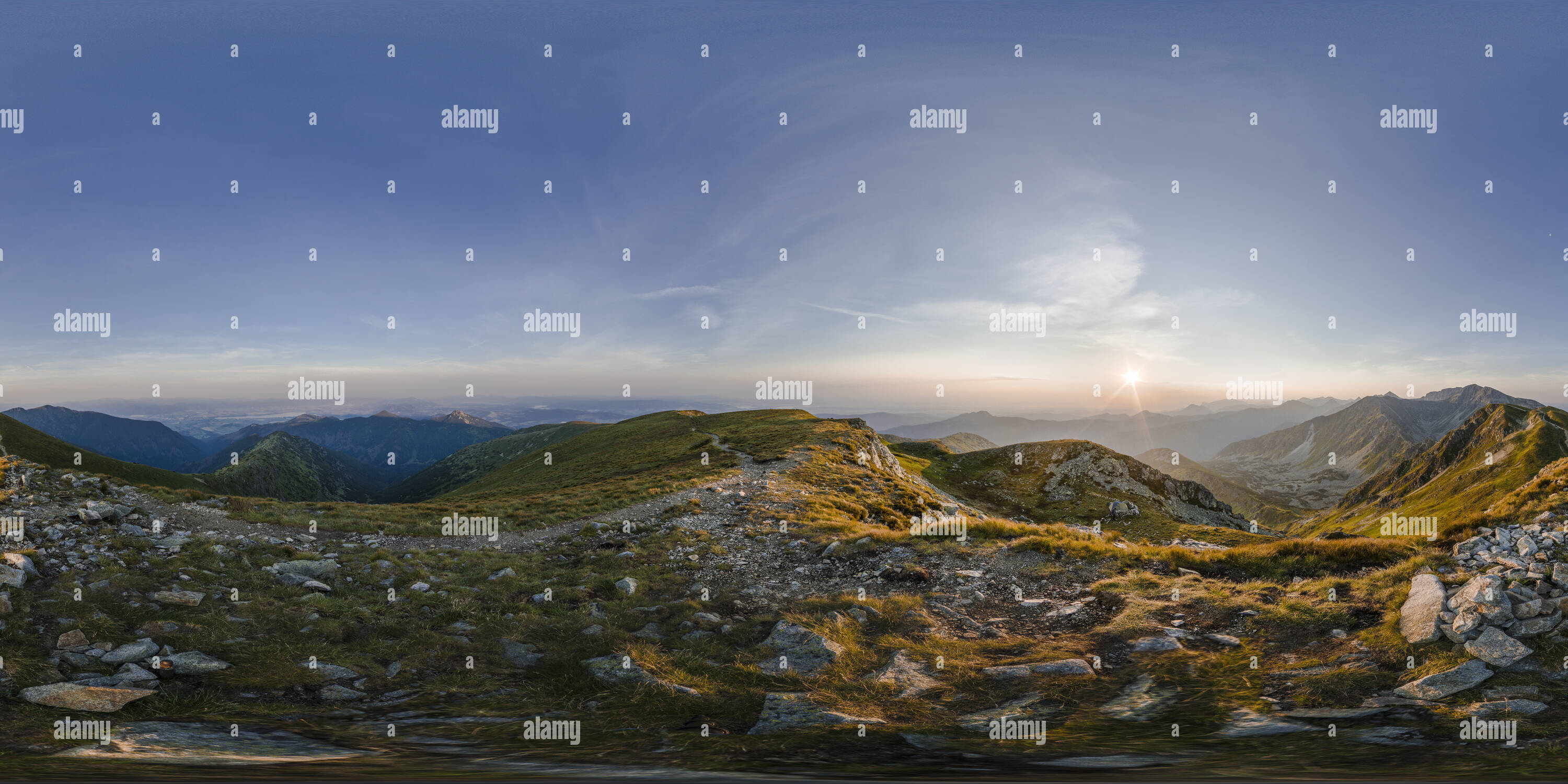 Salatin hi-res stock photography and images - Alamy