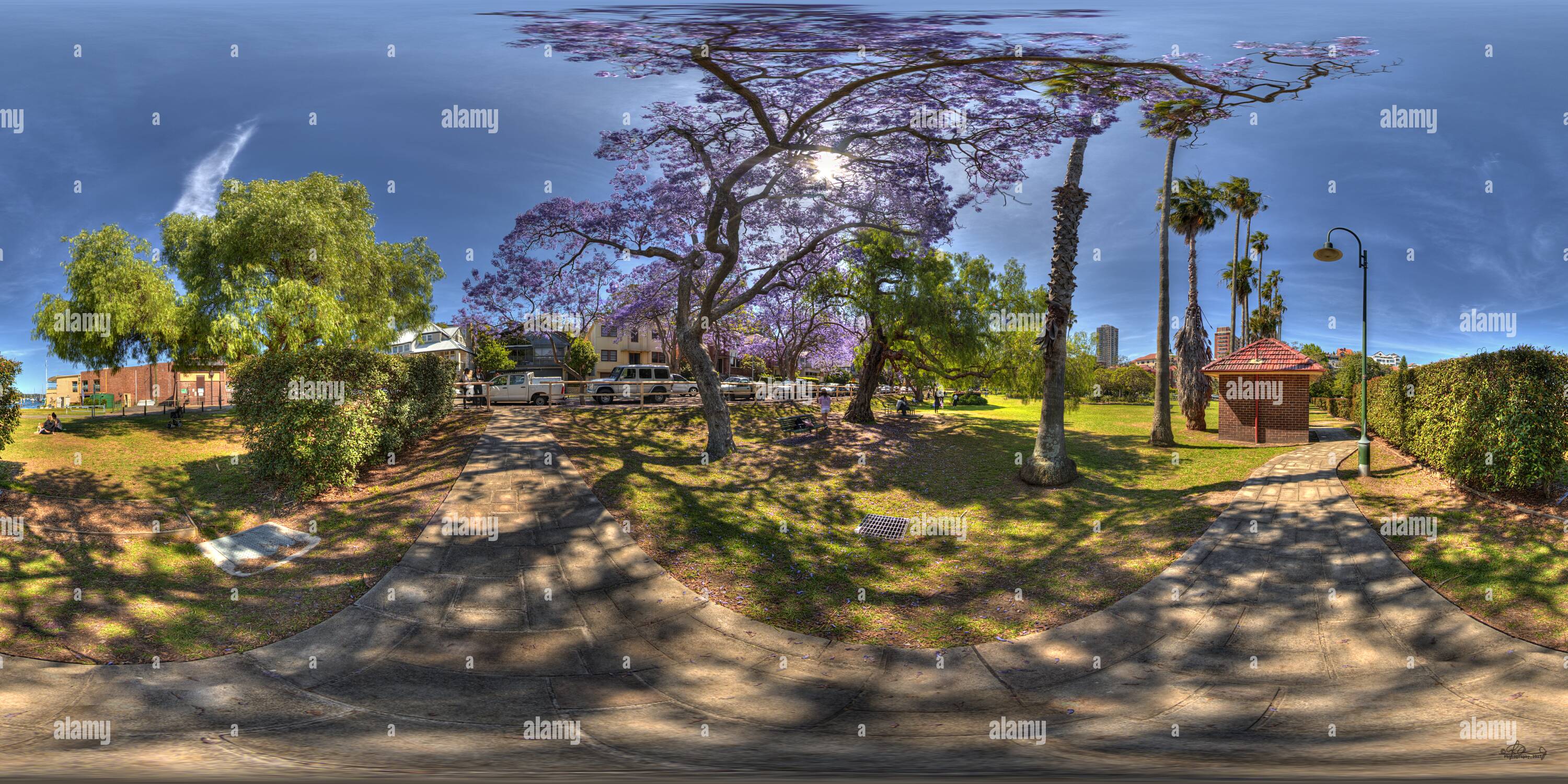 Jacaranda reserve hi-res stock photography and images - Alamy
