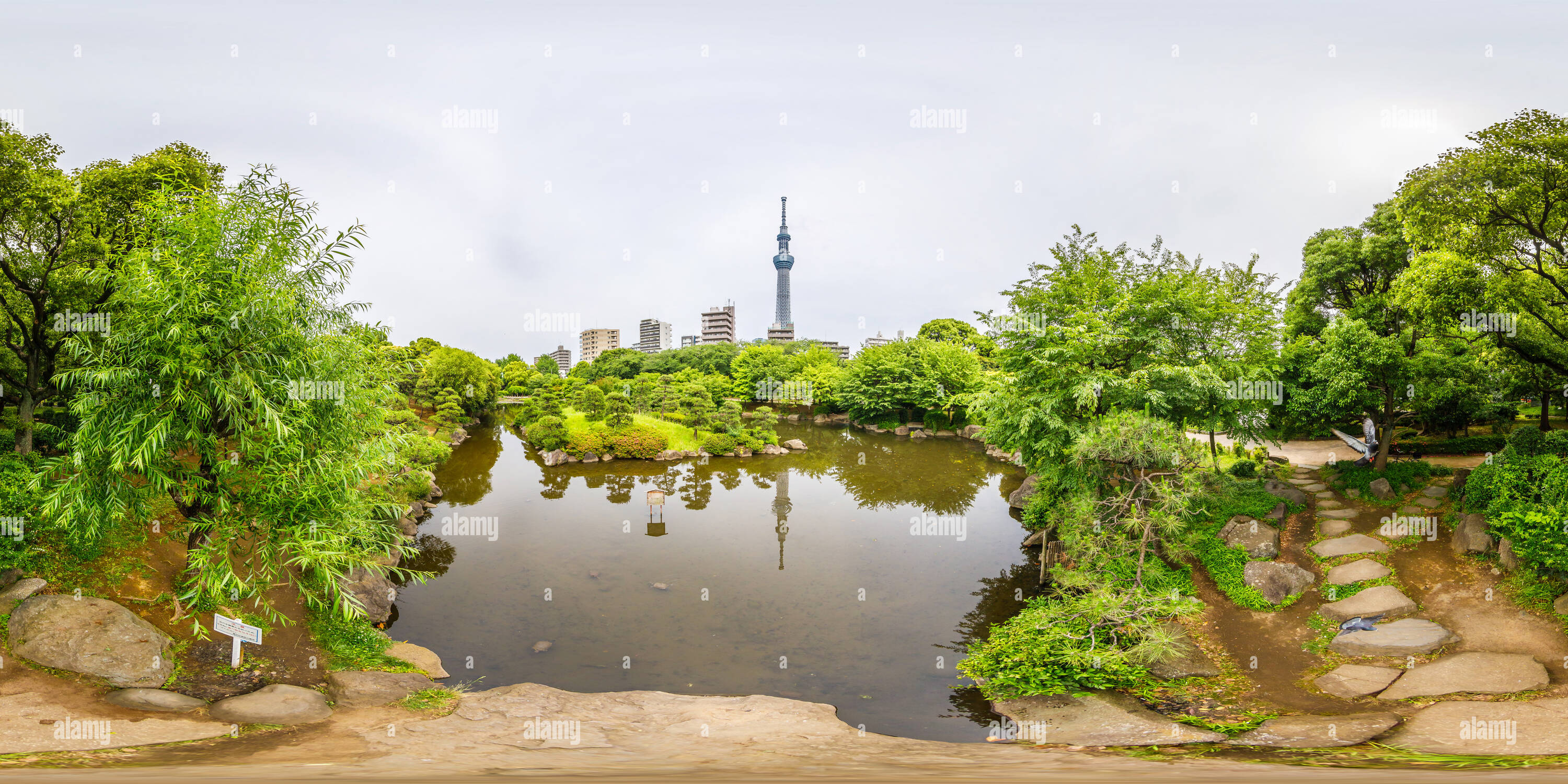 360° view of Sumida Park Tokyp Japan Low - Alamy